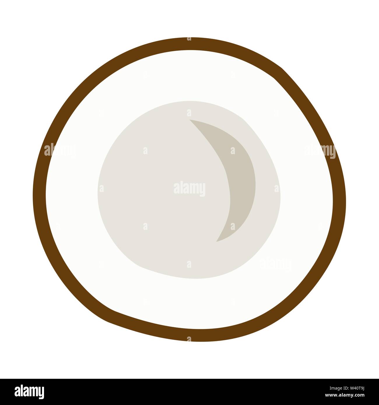 Shell of coconut Stock Vector Images - Alamy
