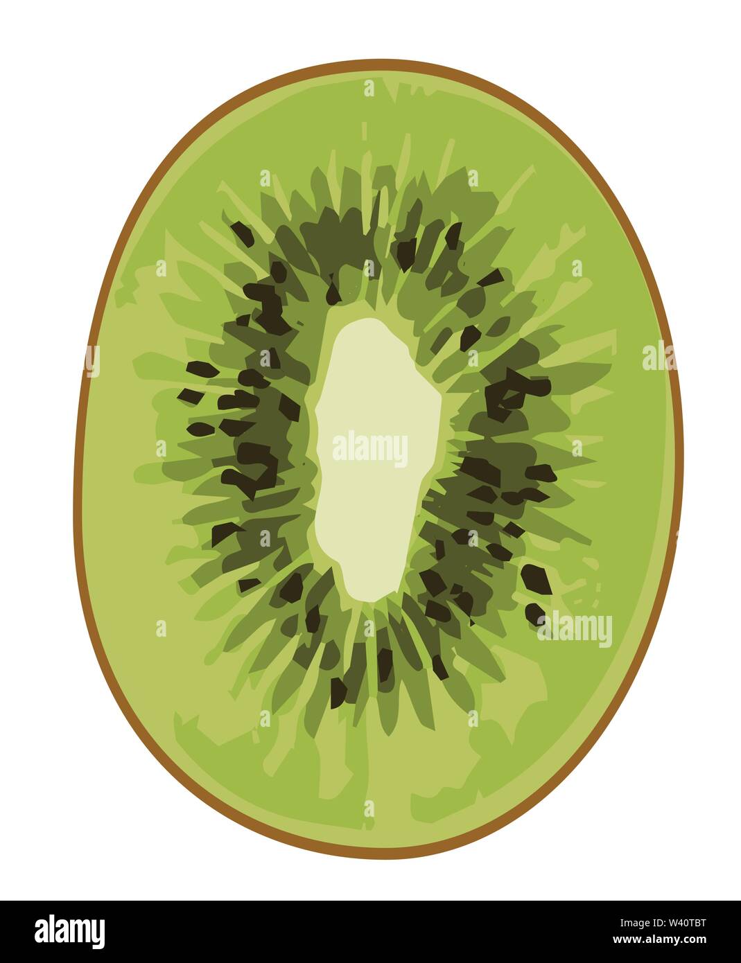 kiwi fruits vector illustrations Stock Vector Image & Art - Alamy