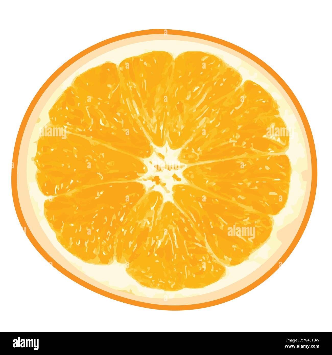isolated orange vector format, realistic look Stock Vector Image & Art ...