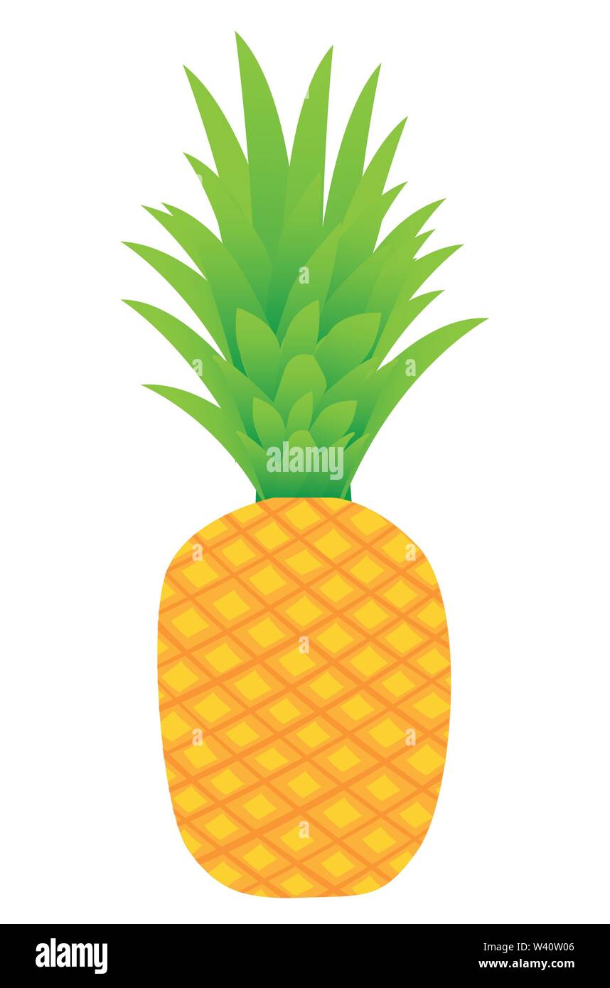 Pineapple fruits vector illustrations Stock Vector Image & Art - Alamy