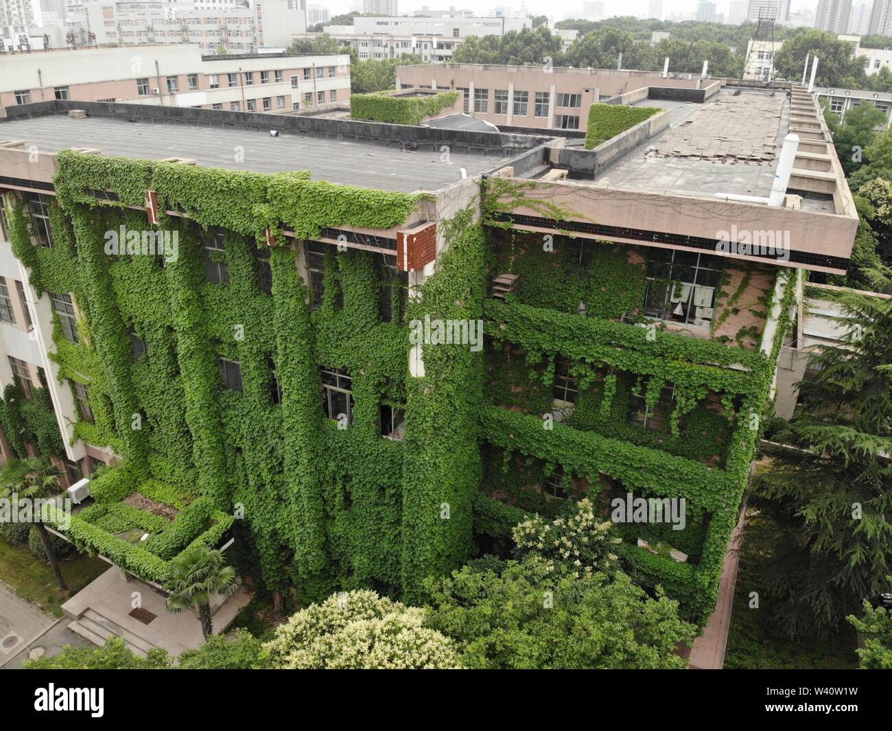 Zhengzhou, Zhengzhou, China. 19th July, 2019. Zhengzhou, China - July ...