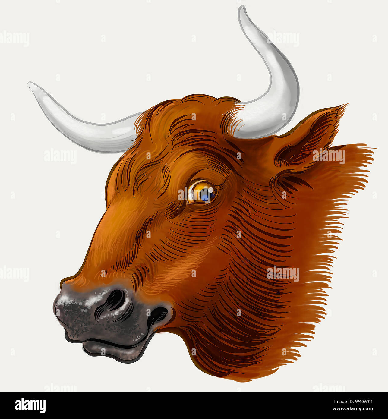 Mad bull hi-res stock photography and images - Alamy
