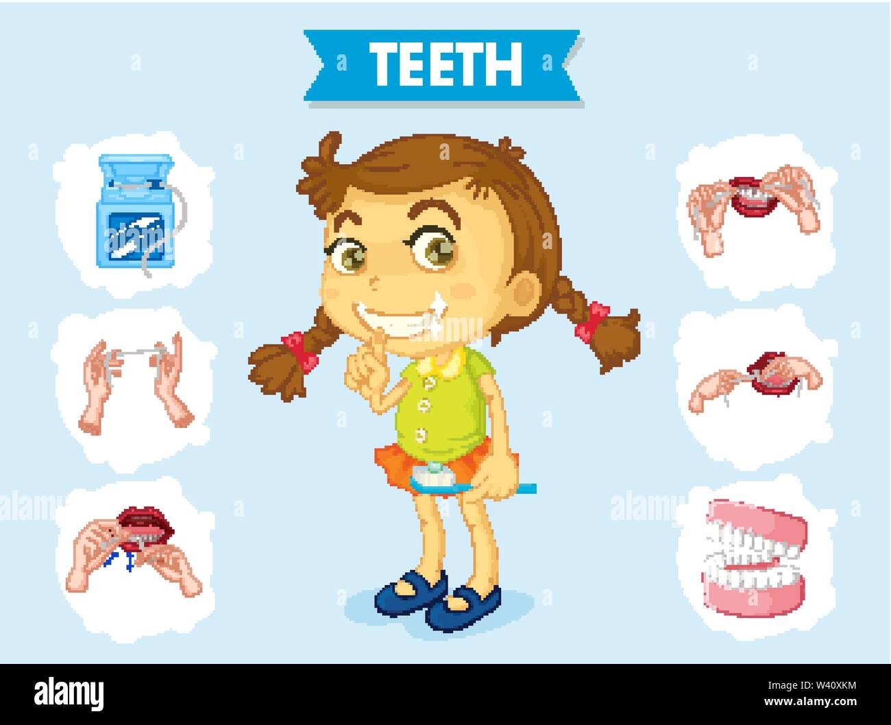 Scientific medical illustration of teeth care poster illustration Stock ...