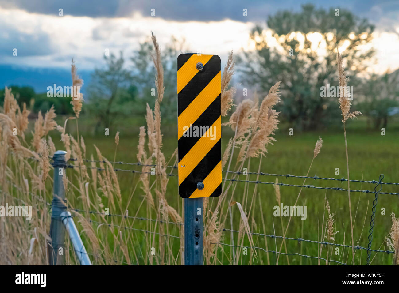 Yellow Diagonal Stripes Road