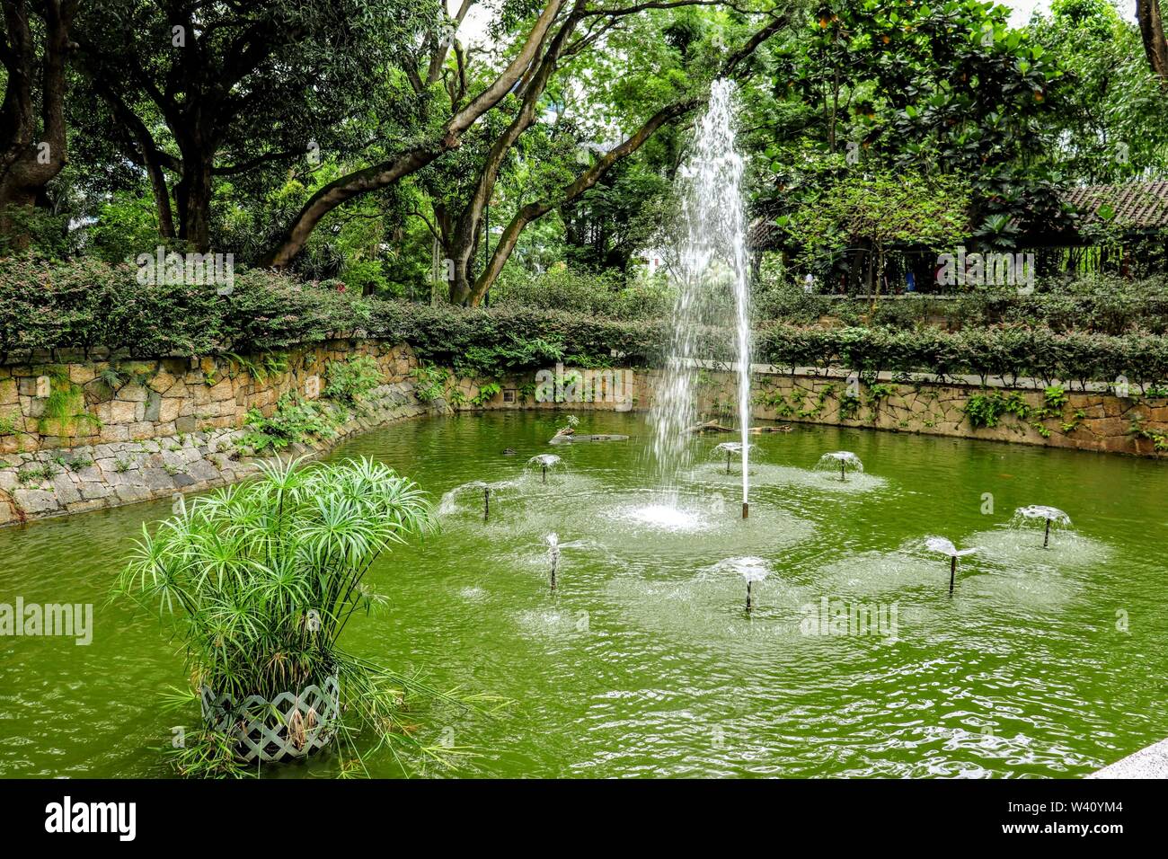 Kowloon Park July 2019 Stock Photo - Alamy