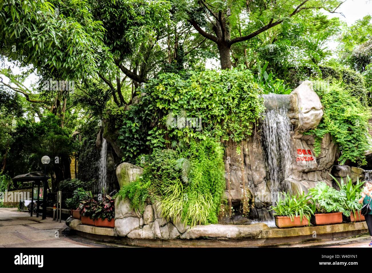 Kowloon Park July 2019 Stock Photo - Alamy