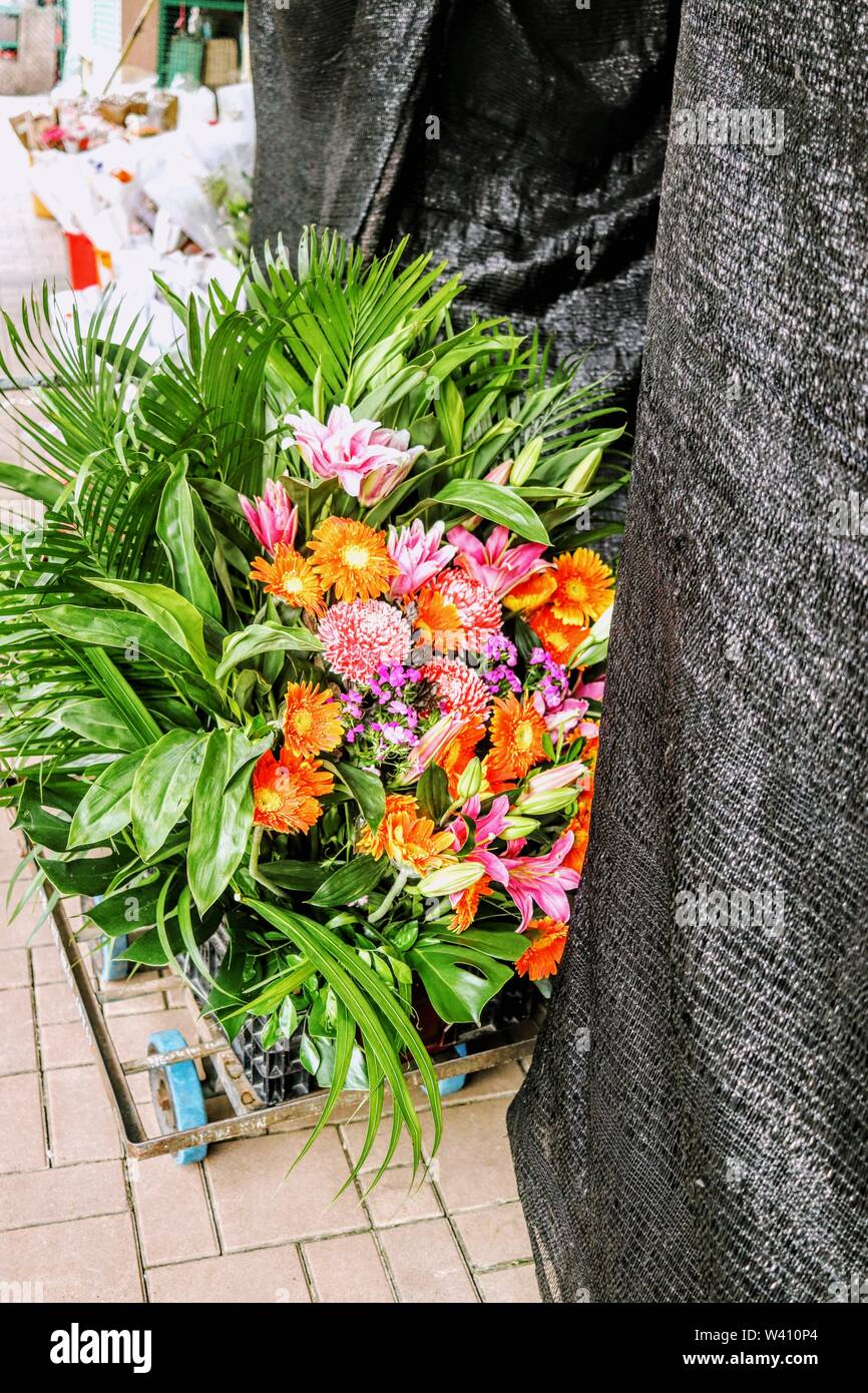 Flower Street, Hong Kong, July 2019 Stock Photo - Alamy