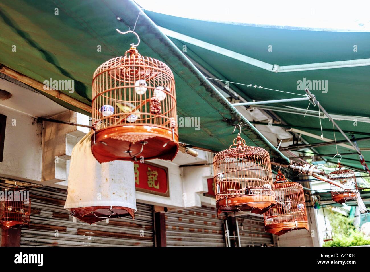 China hong kong song bird hi-res stock photography and images - Alamy