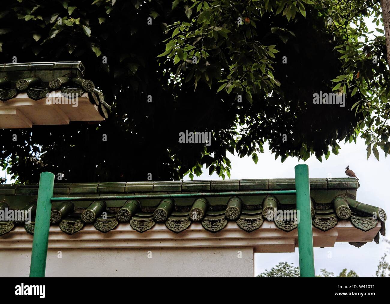 Mong Kok Bird Garden, Hong Kong, July 2019 Stock Photo - Alamy