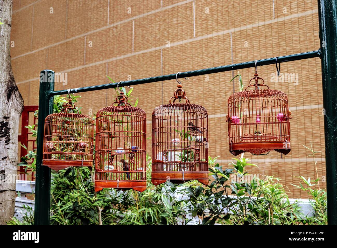 China hong kong song bird hi-res stock photography and images - Alamy