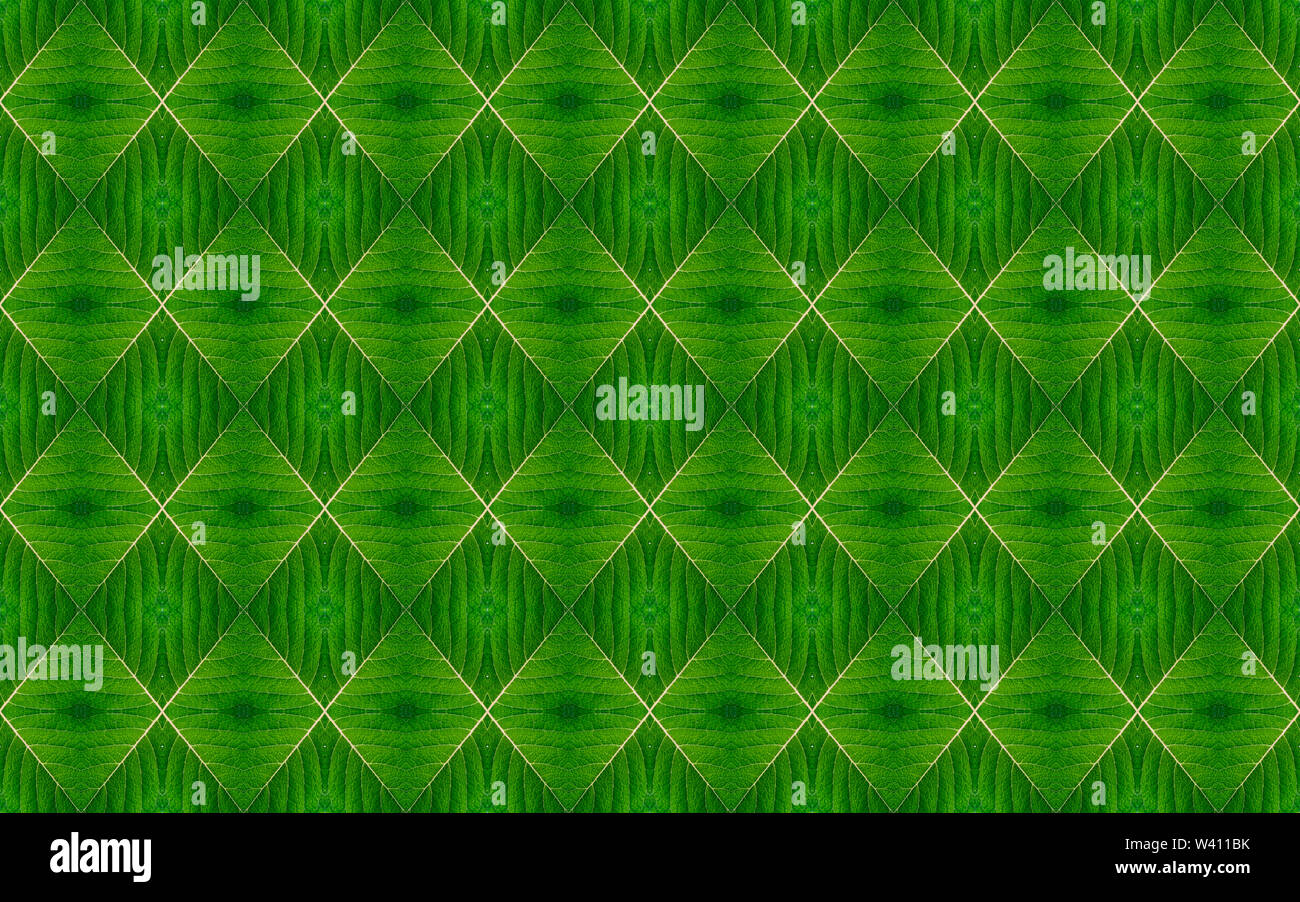 Fresh green leaf details geometric tiles pattern Stock Photo - Alamy