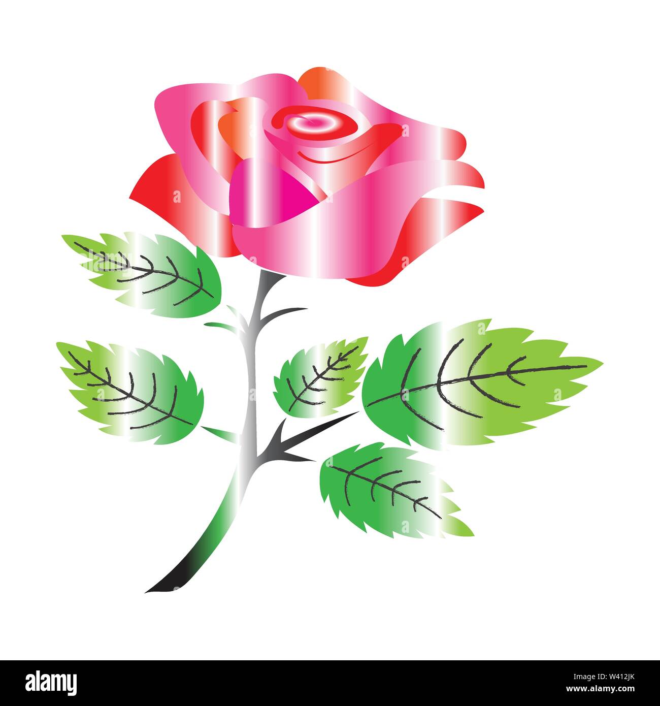 Single red rose on the rose plant Stock Vector Images - Alamy