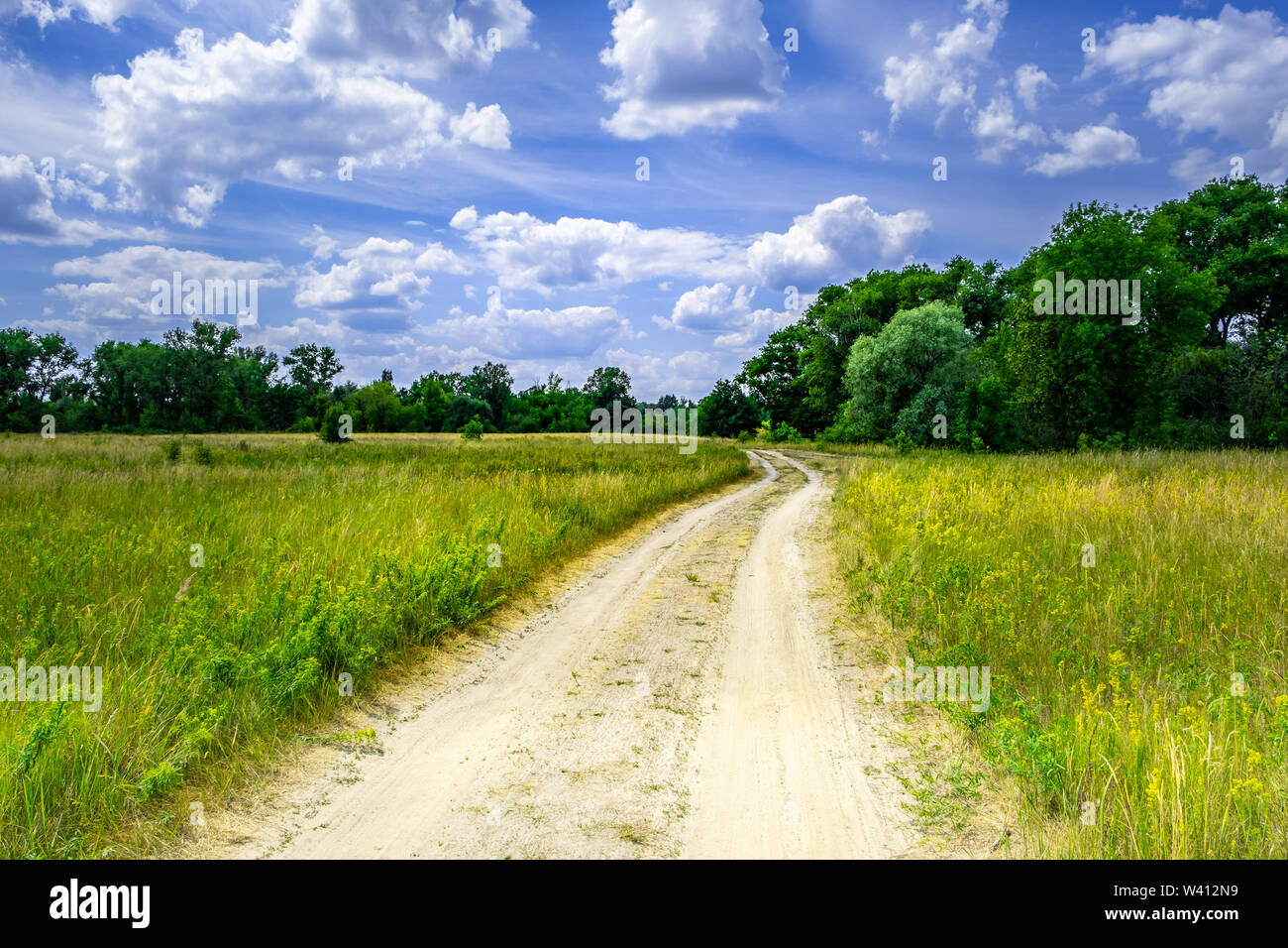 Dirt road winding through wild grass and trees in Belarus countryside ...