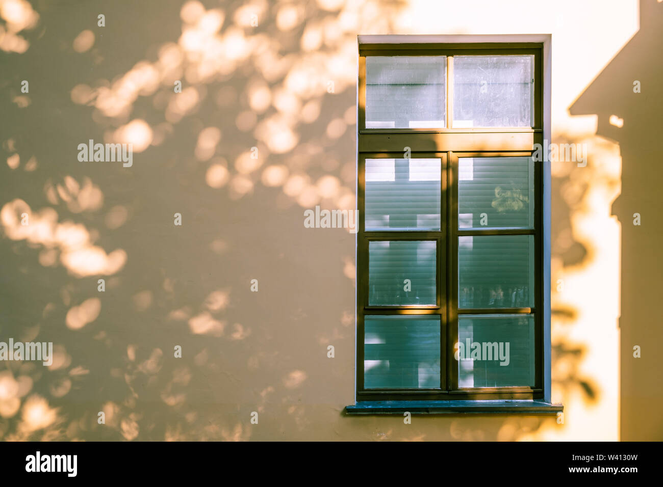 Fragment of window and wall with tree canopy shadows and copy space ...