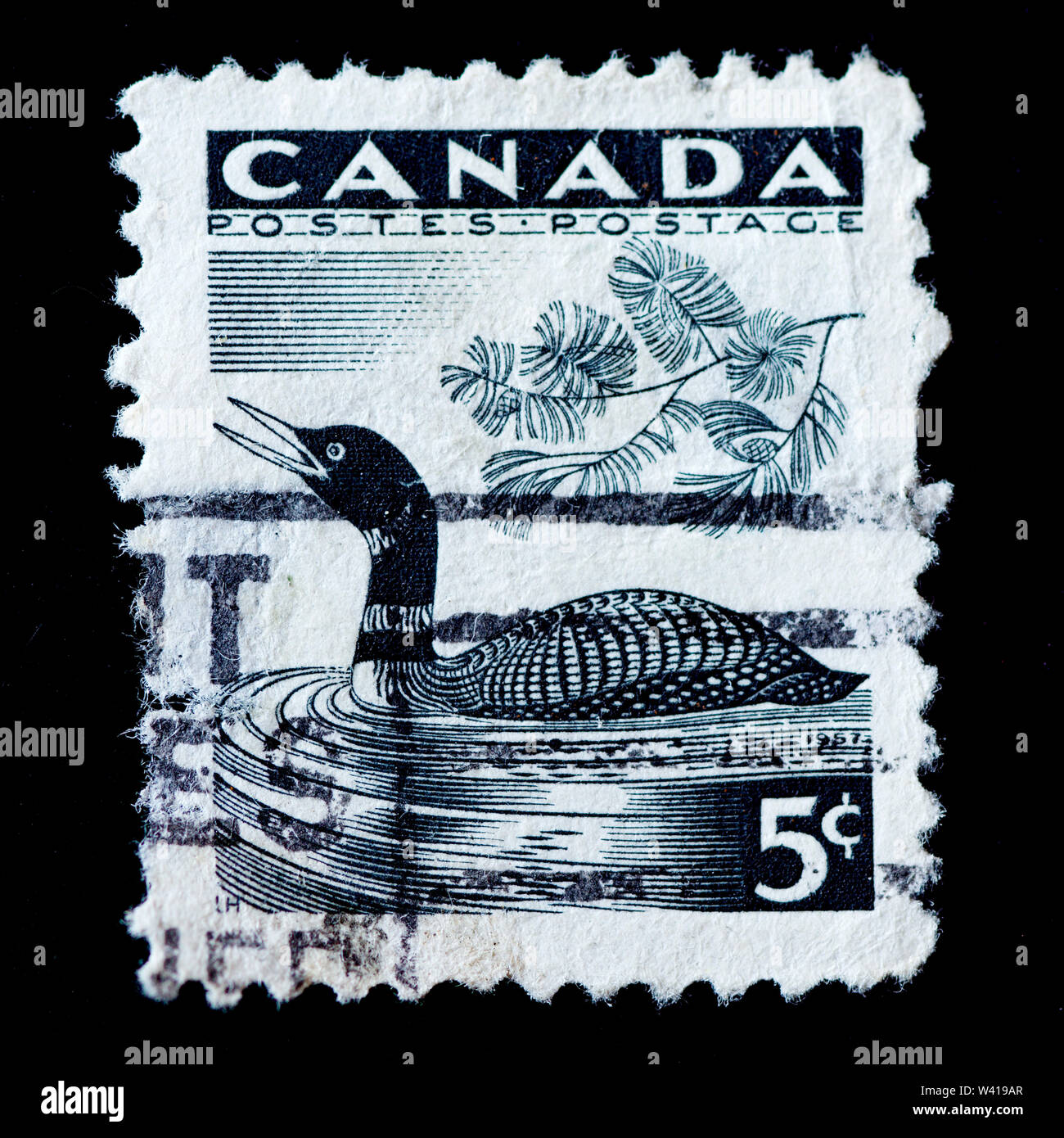 Canada Postage Stamp - Common Loon Stock Photo - Alamy