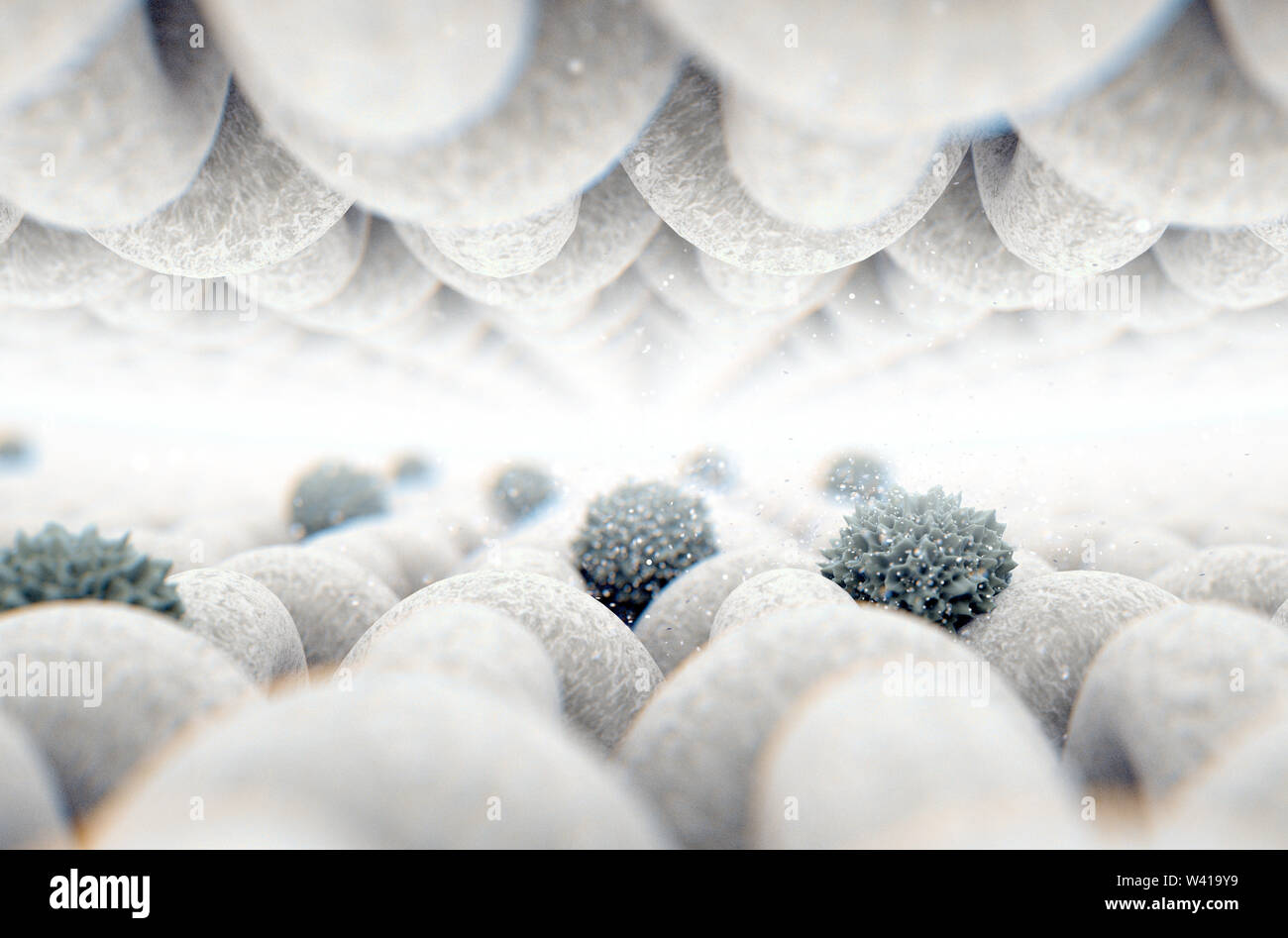 A microscopic close up view between layers of simple woven textile and ...