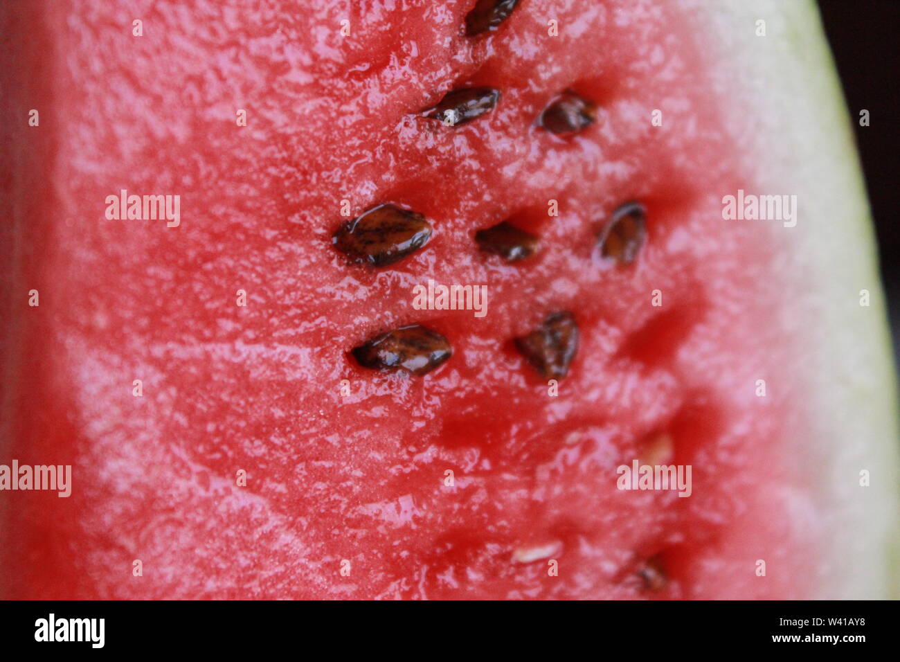 Fresh red pink green watermelon cool hot summer break Series Stock ...