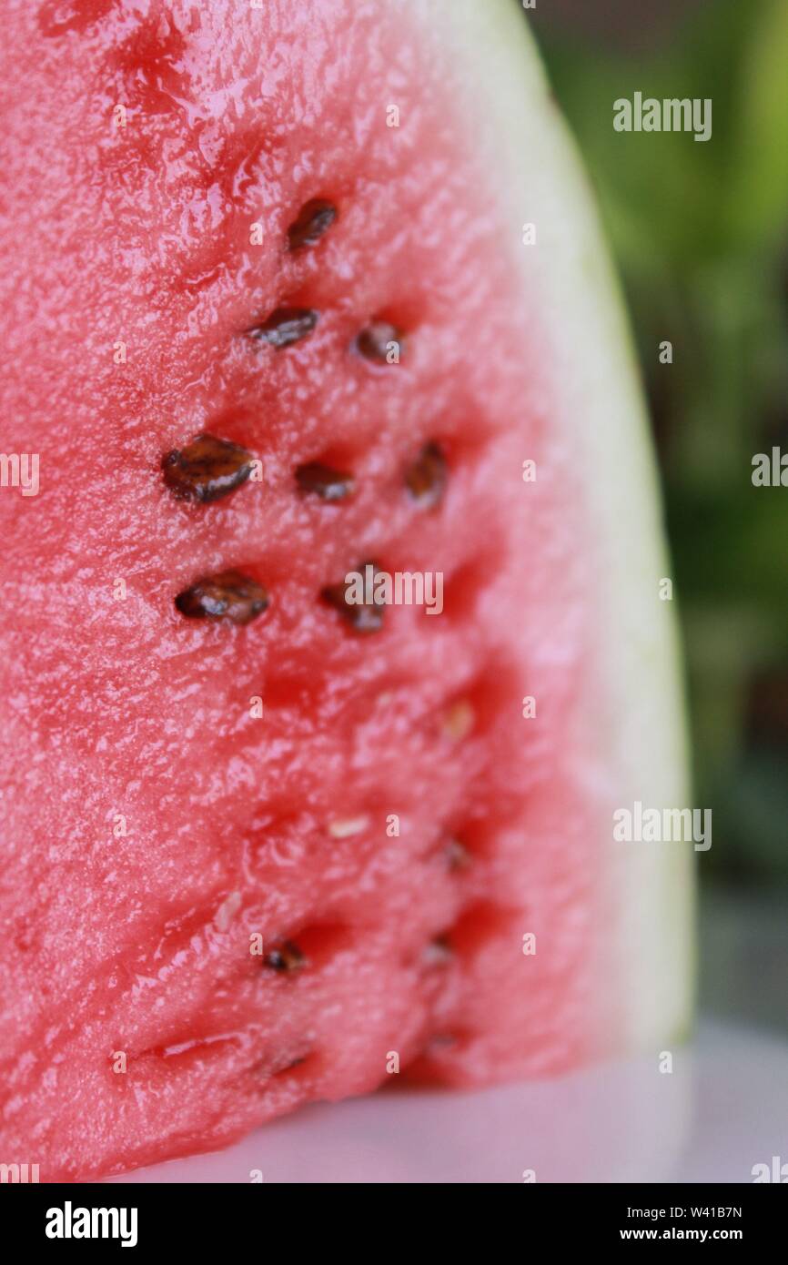Fresh red pink green watermelon cool hot summer break Series Stock ...