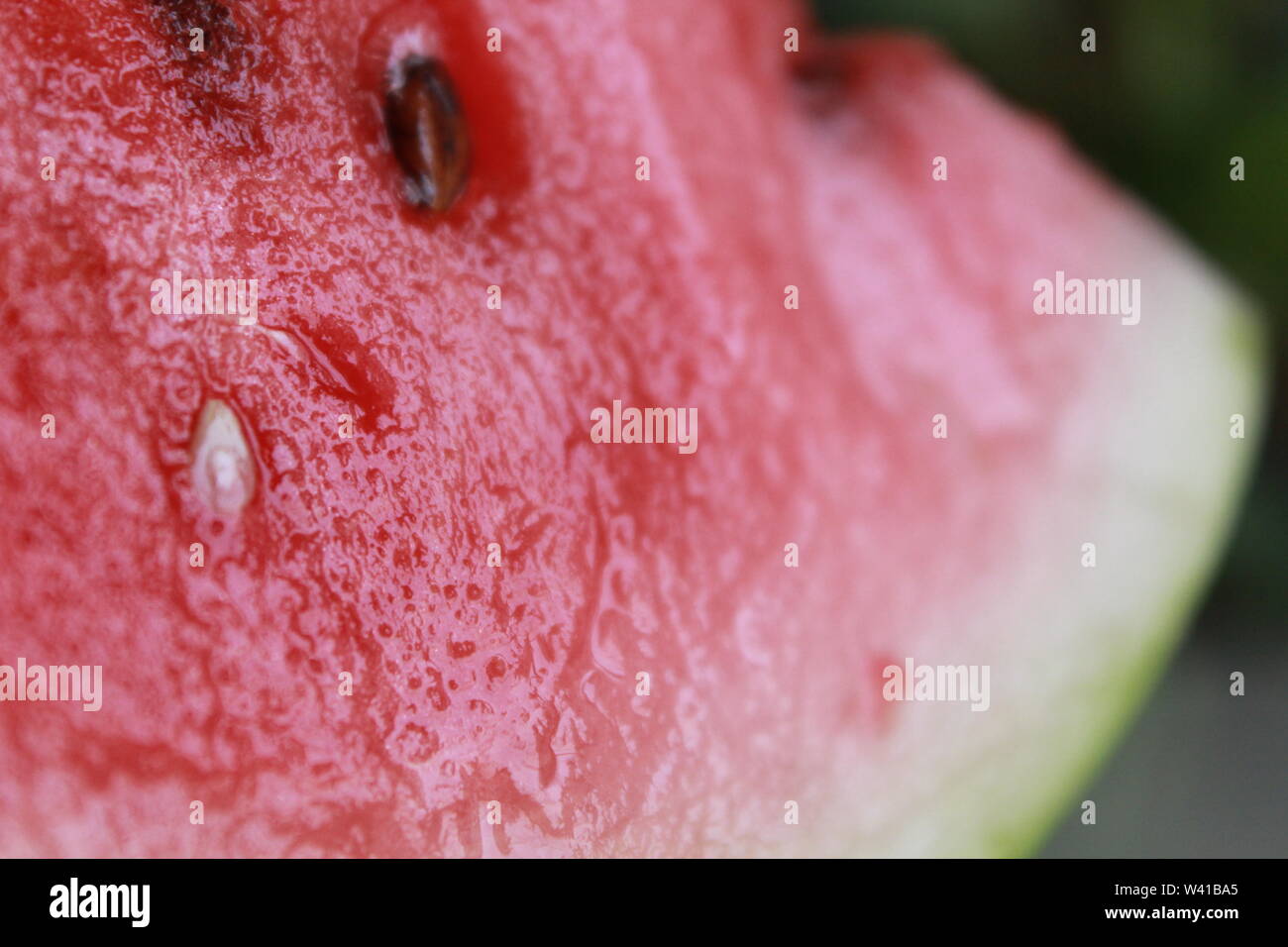 Fresh red pink green watermelon cool hot summer break Series Stock ...