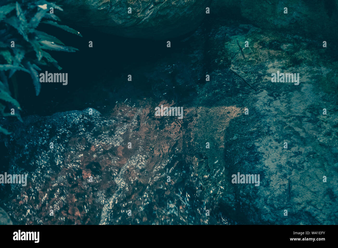 Stones in Water; Nature Background Stock Photo - Alamy