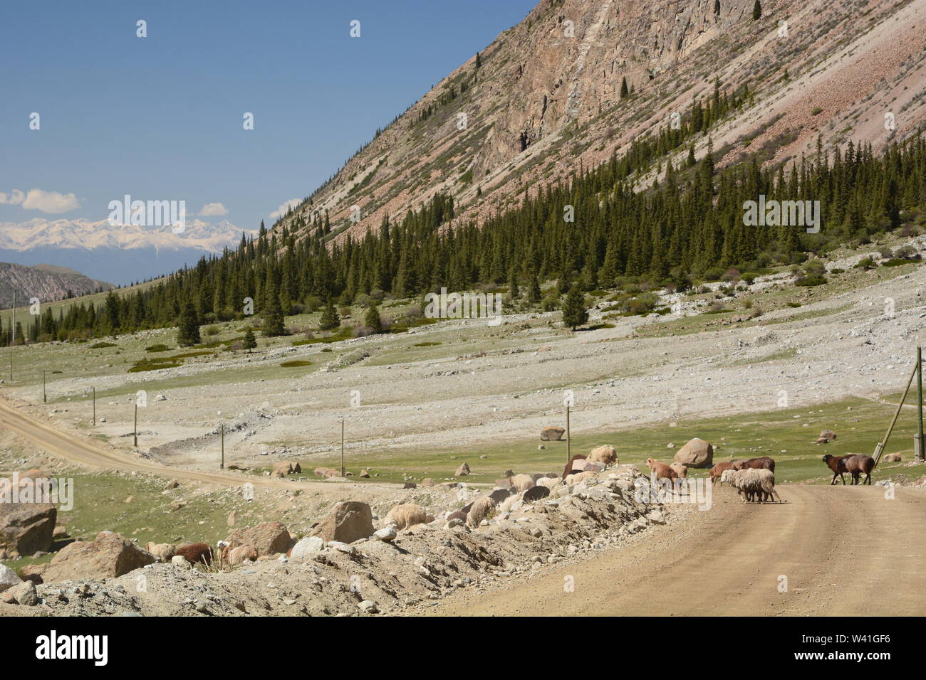 Barskoon valley. Issyk-Kul province. Kyrgyzstan Stock Photo - Alamy