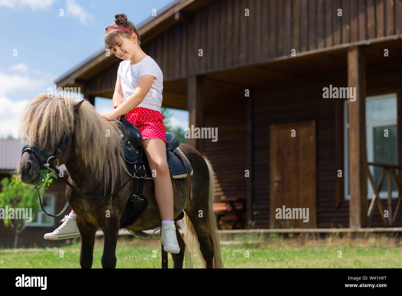 Cute little girl petting brown horse in the stable Stock Photo - Alamy