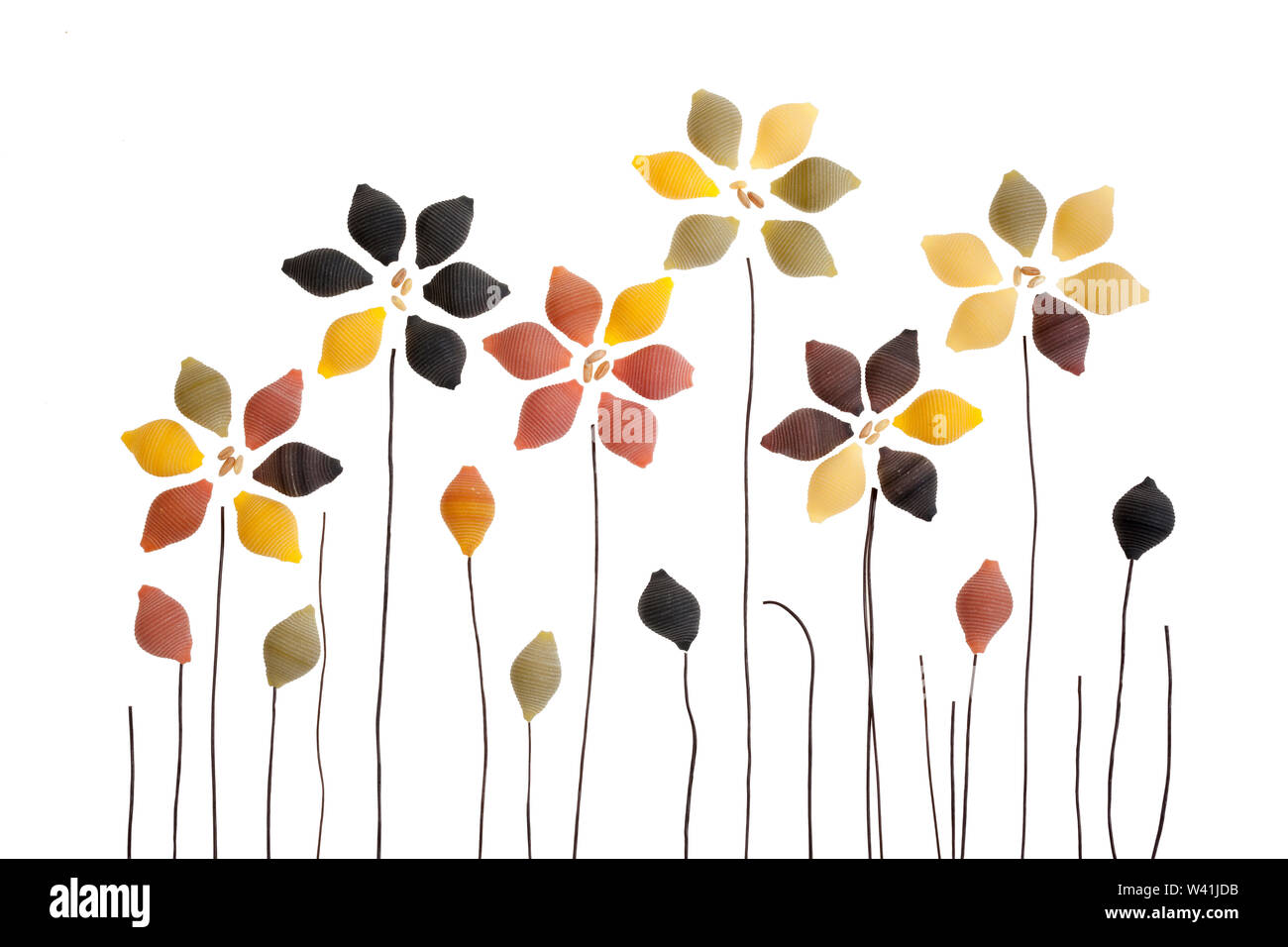 Decorative floral composition of five color shell pasta and black rice ...