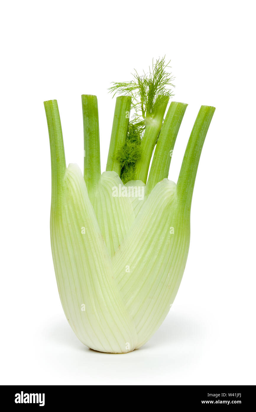 Fennel isolated on white background hi-res stock photography and images ...