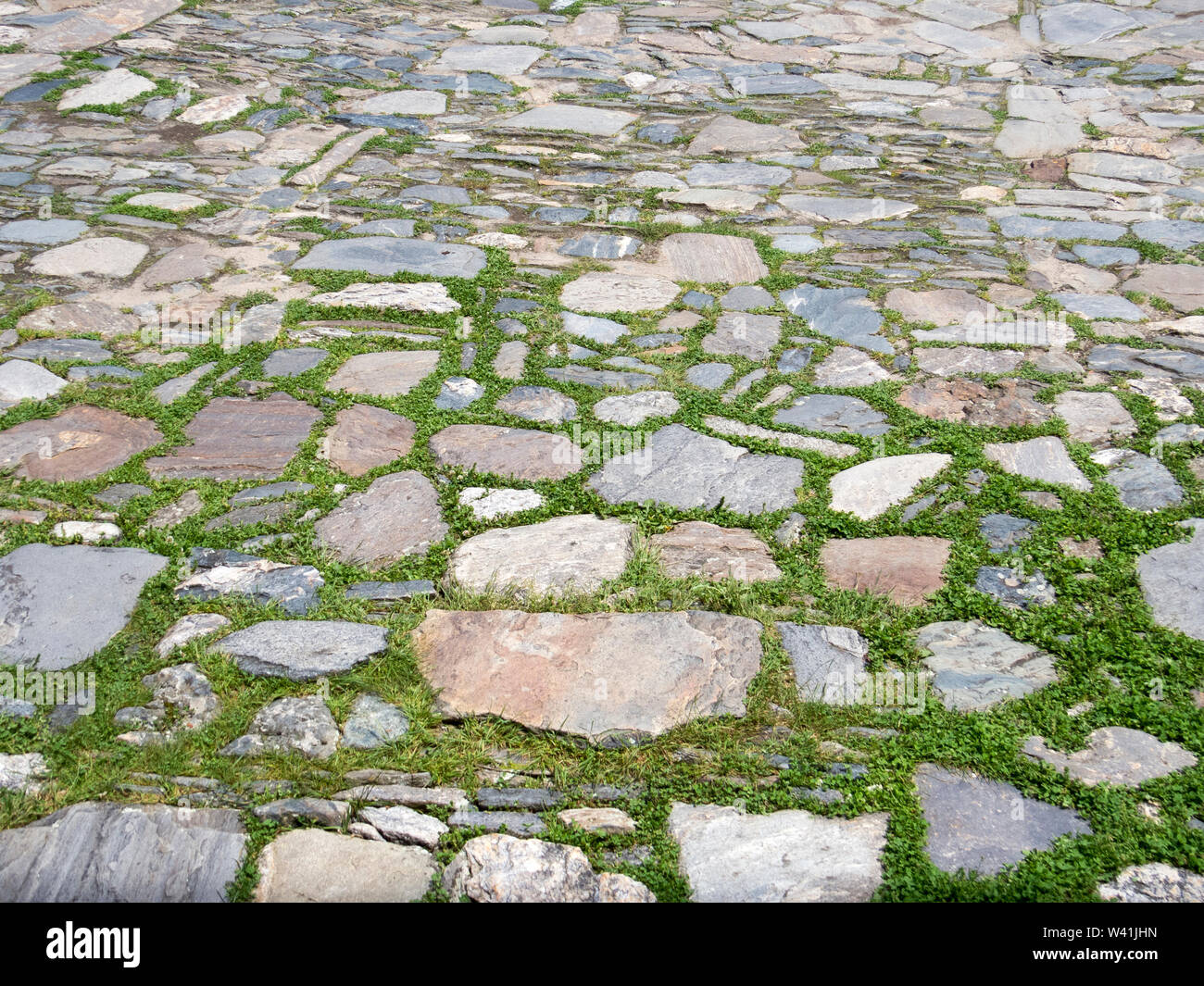 Garden pavement of stones and grass Stock Photo - Alamy