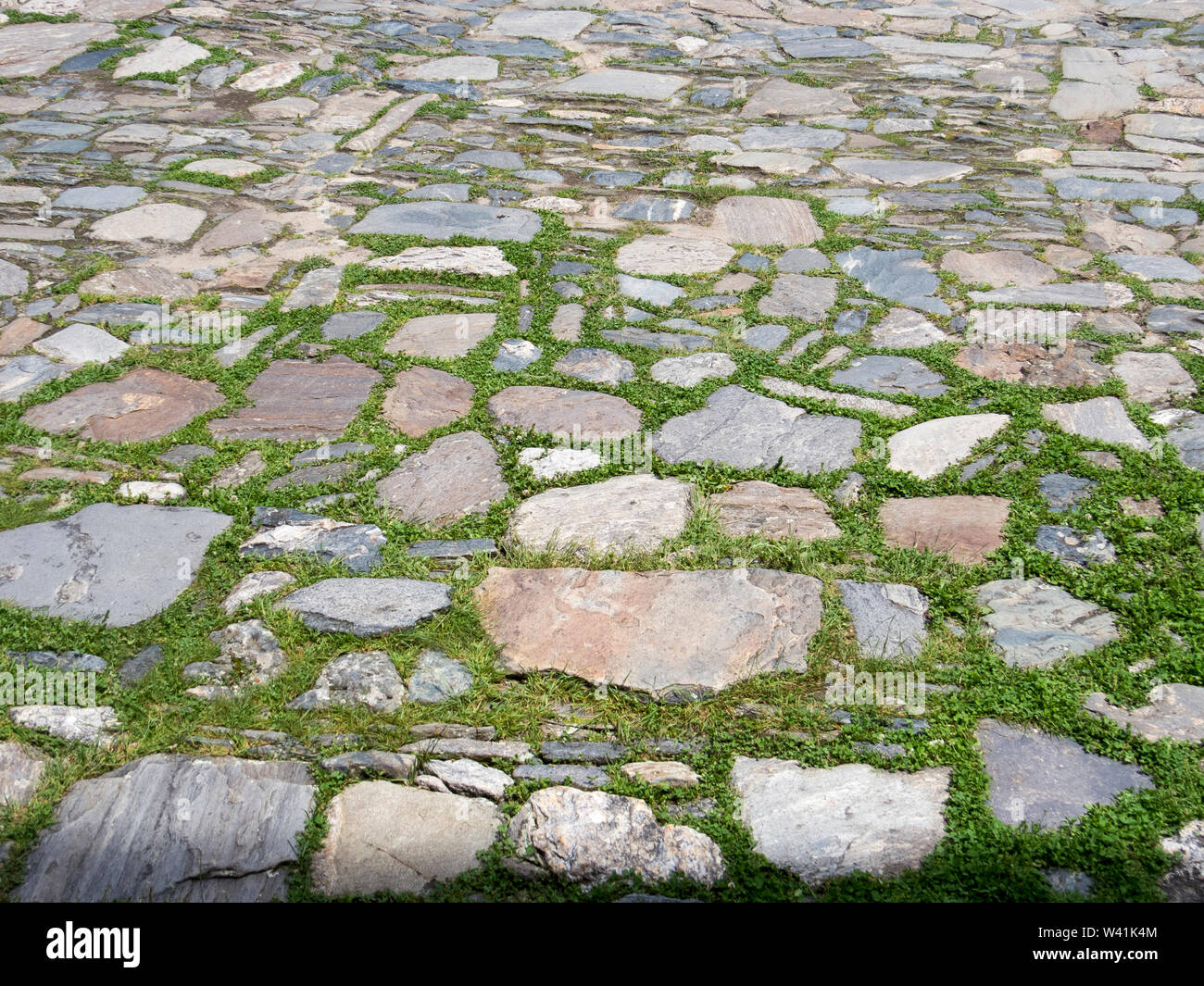 Rustic garden pavement of stones and grass Stock Photo - Alamy