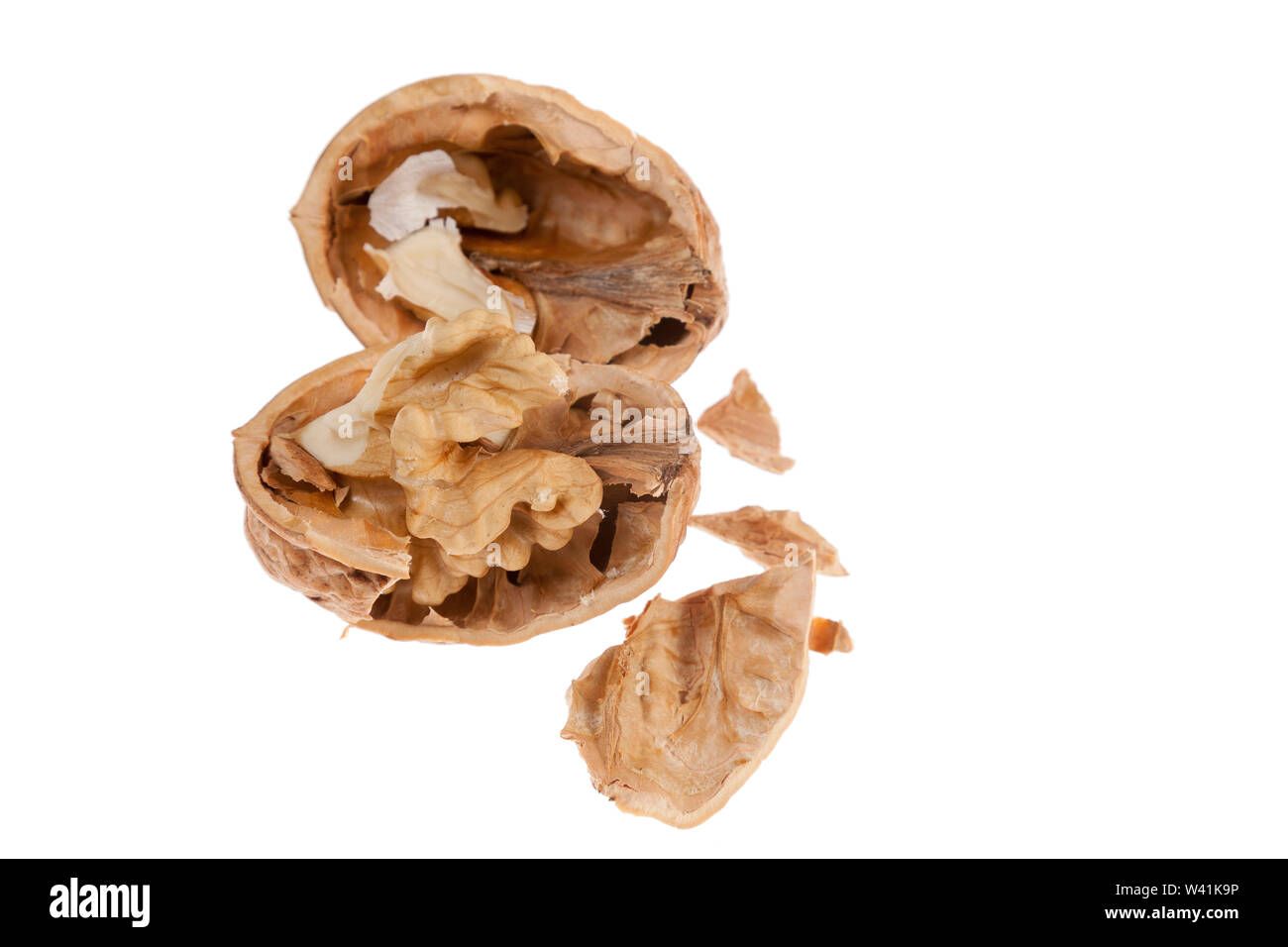 Walnut in shell isolated on white background Stock Photo - Alamy