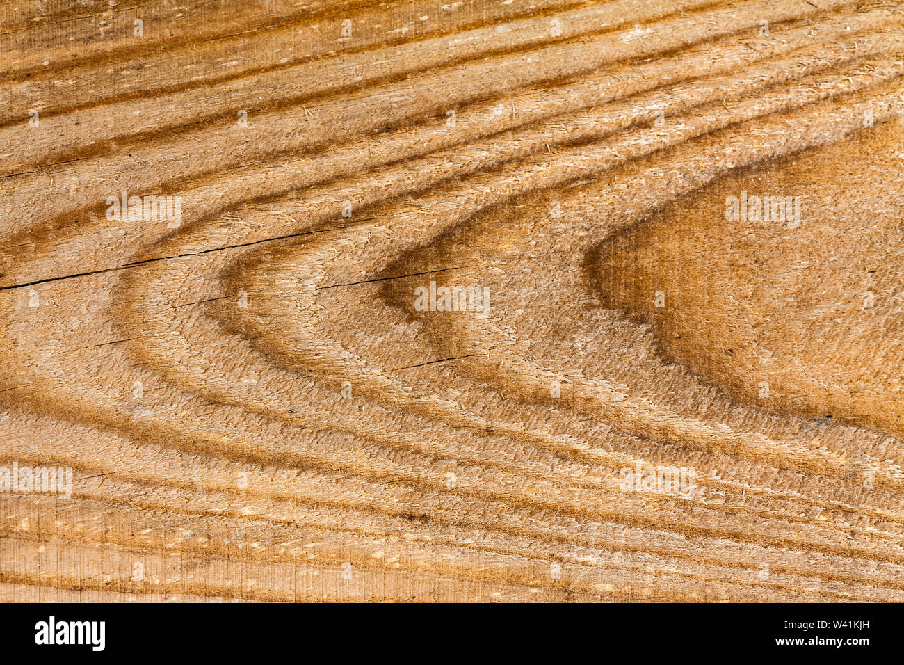 Background. The structure of natural wood, close-up Stock Photo - Alamy