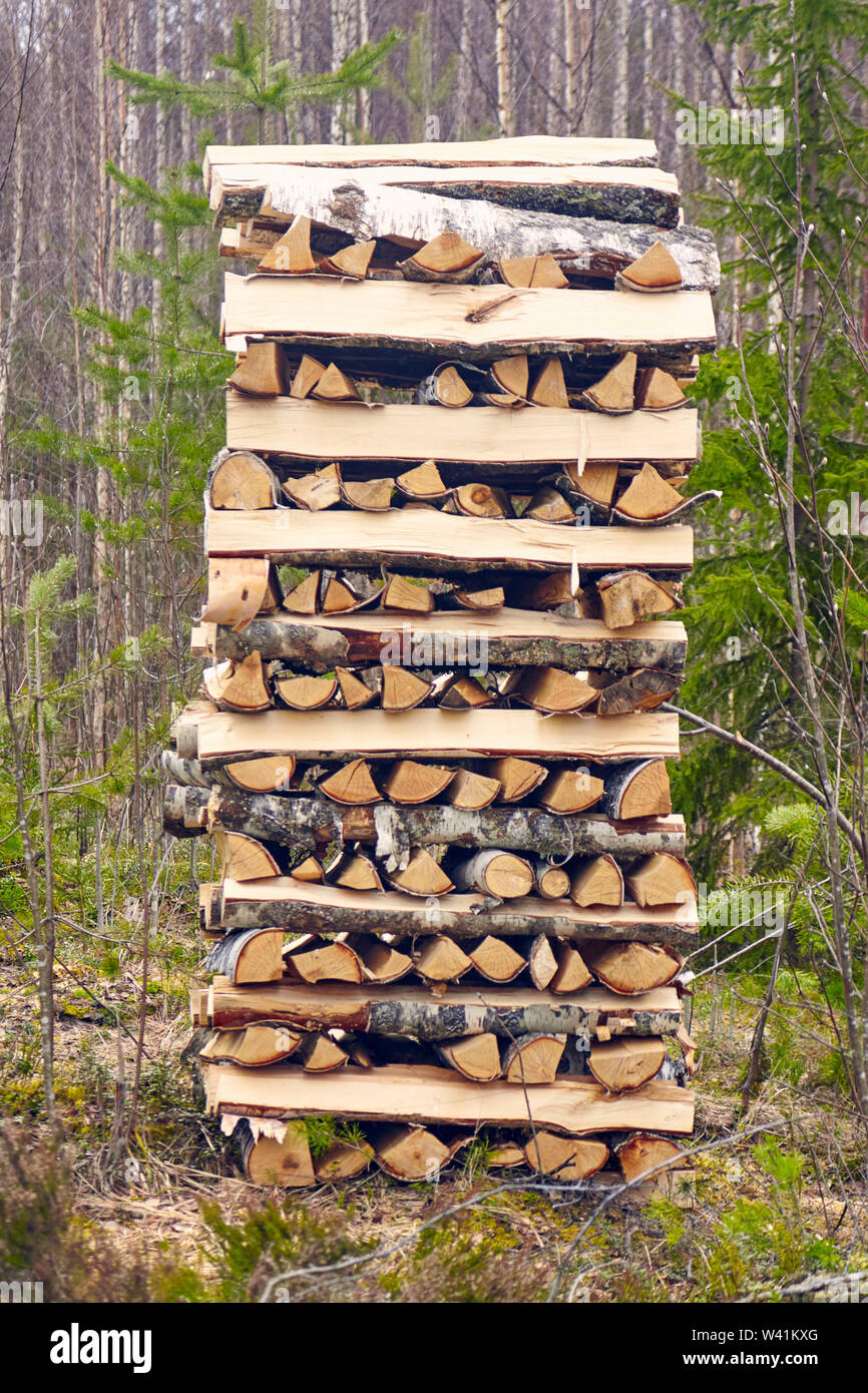A neatly folded stack of wood standing in the woods Stock Photo - Alamy