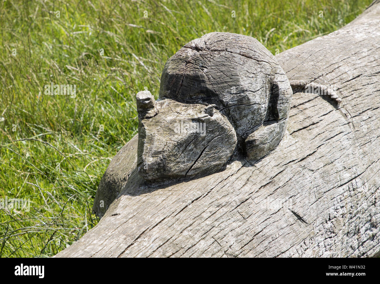 carved mouse on a log at denbies hillside on the surrey hills Stock ...