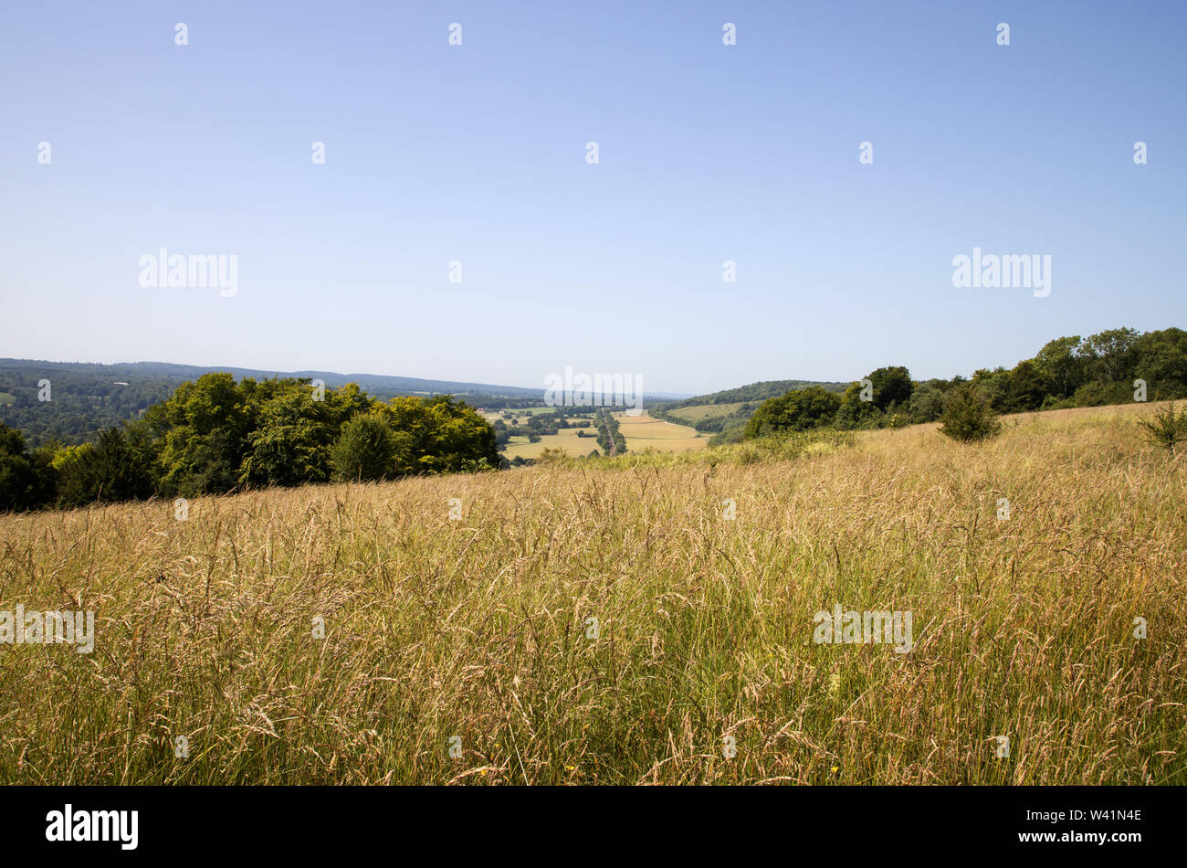 countryside at denbies hillside on the surrey hills Stock Photo - Alamy