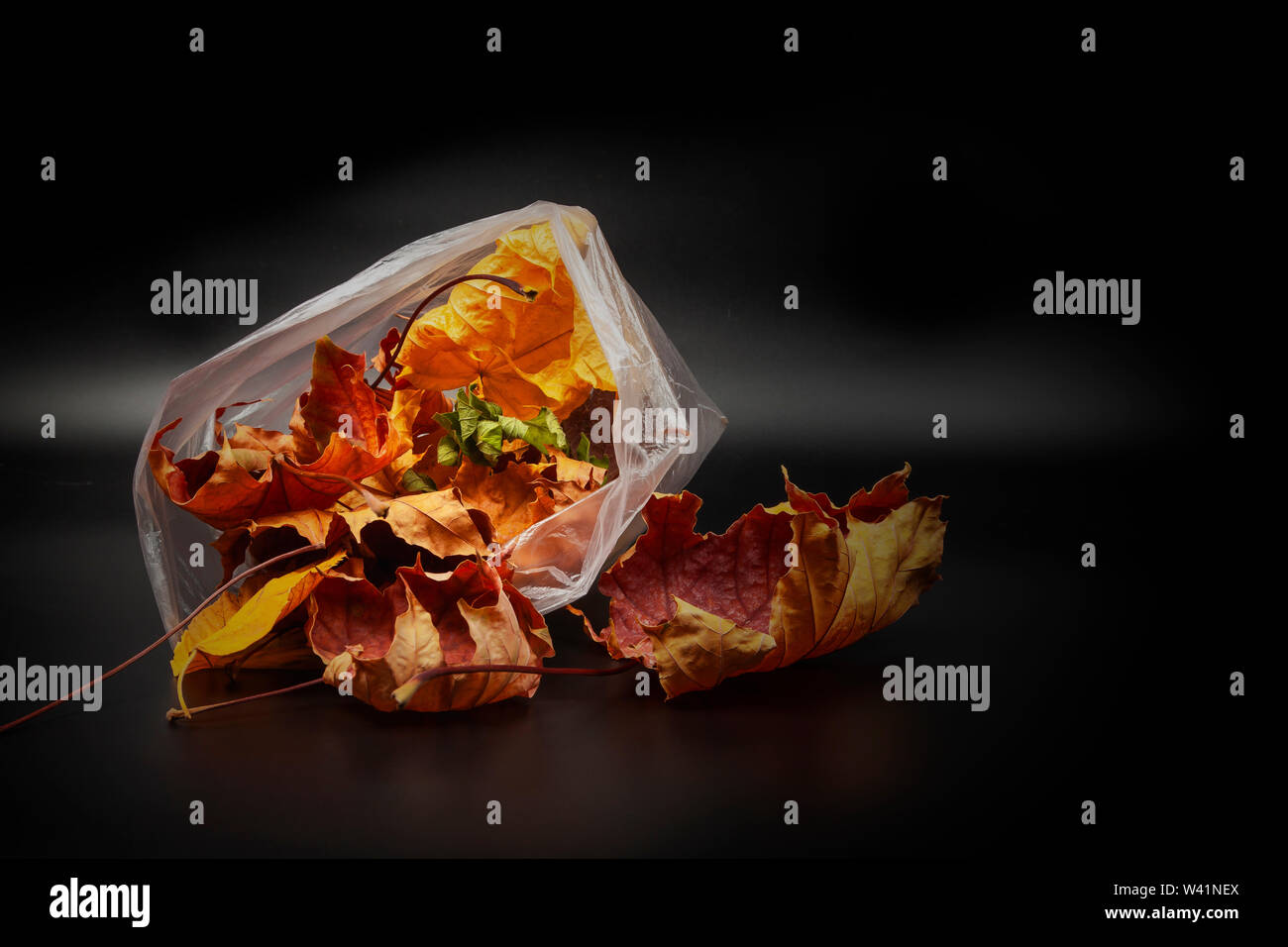 Cellophane packet hi-res stock photography and images - Alamy