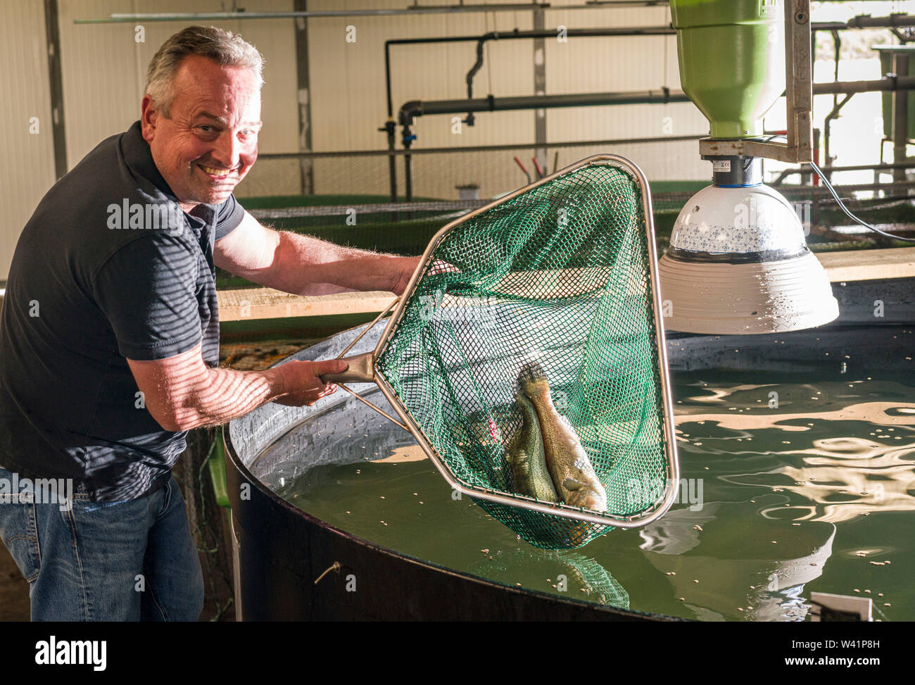 Live fish for slaughter hi-res stock photography and images - Alamy