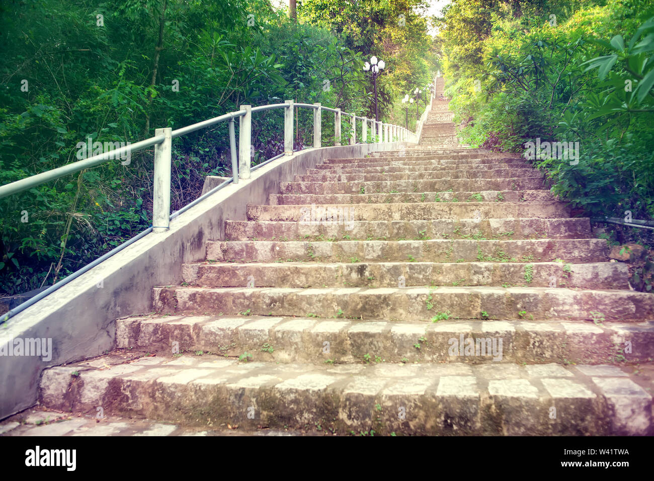 A stair way in the green garden Stock Photo - Alamy