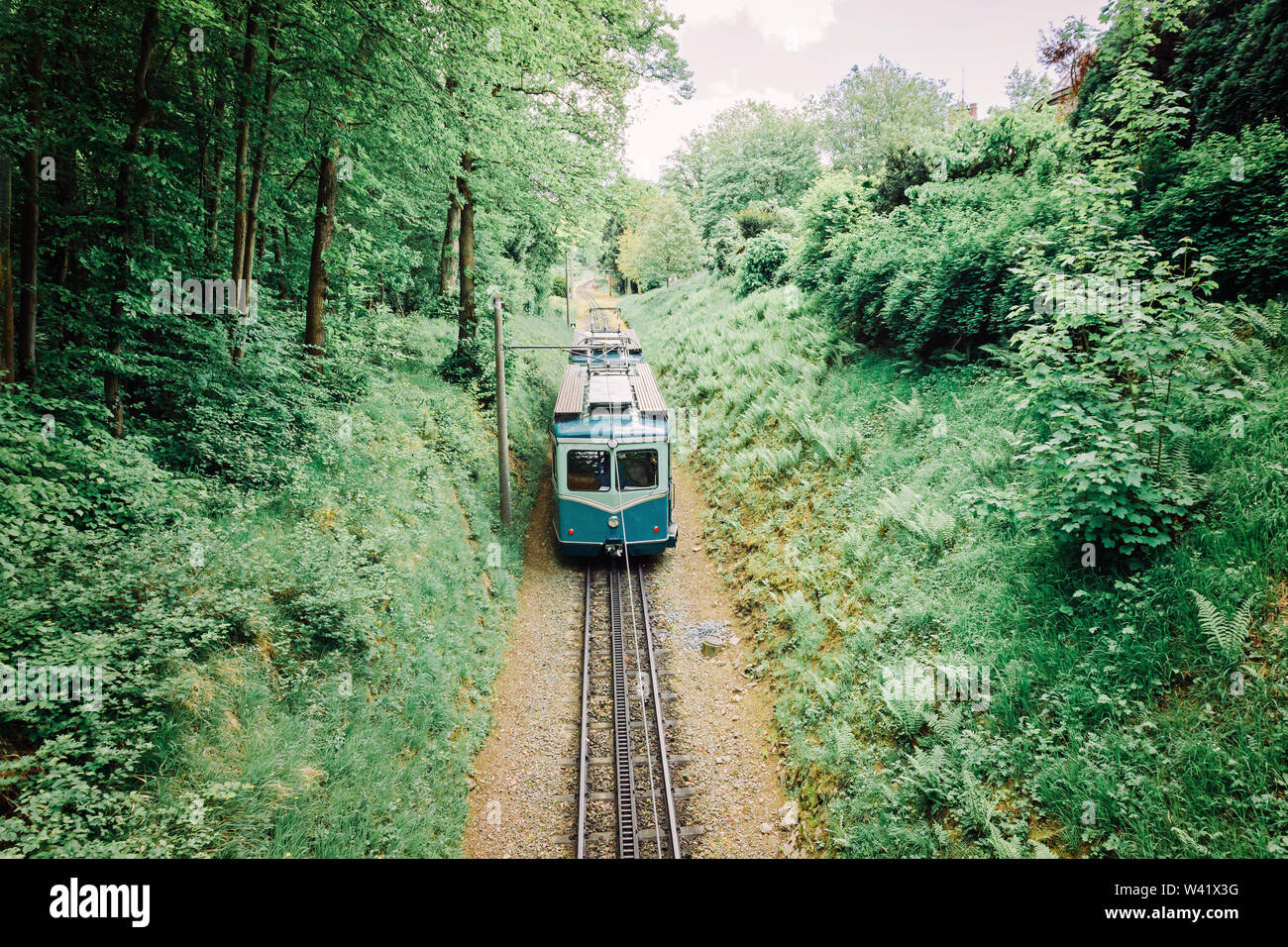 Train on railway transportation in green forest. Transportation concept ...