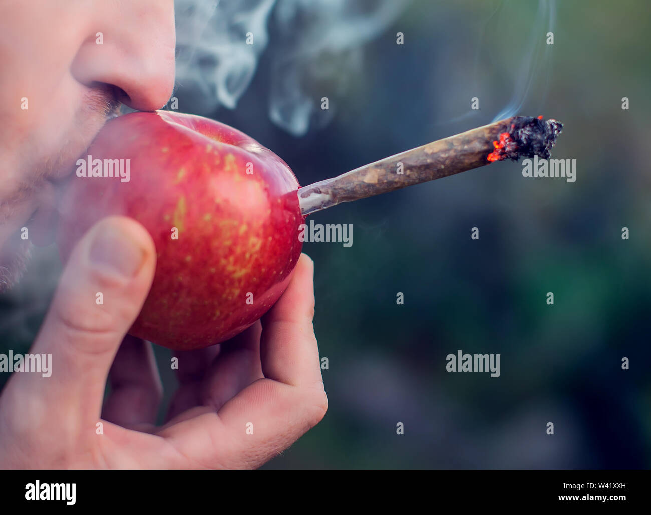 A man smoking marijuana joint through an apple. Light drugs concept ...