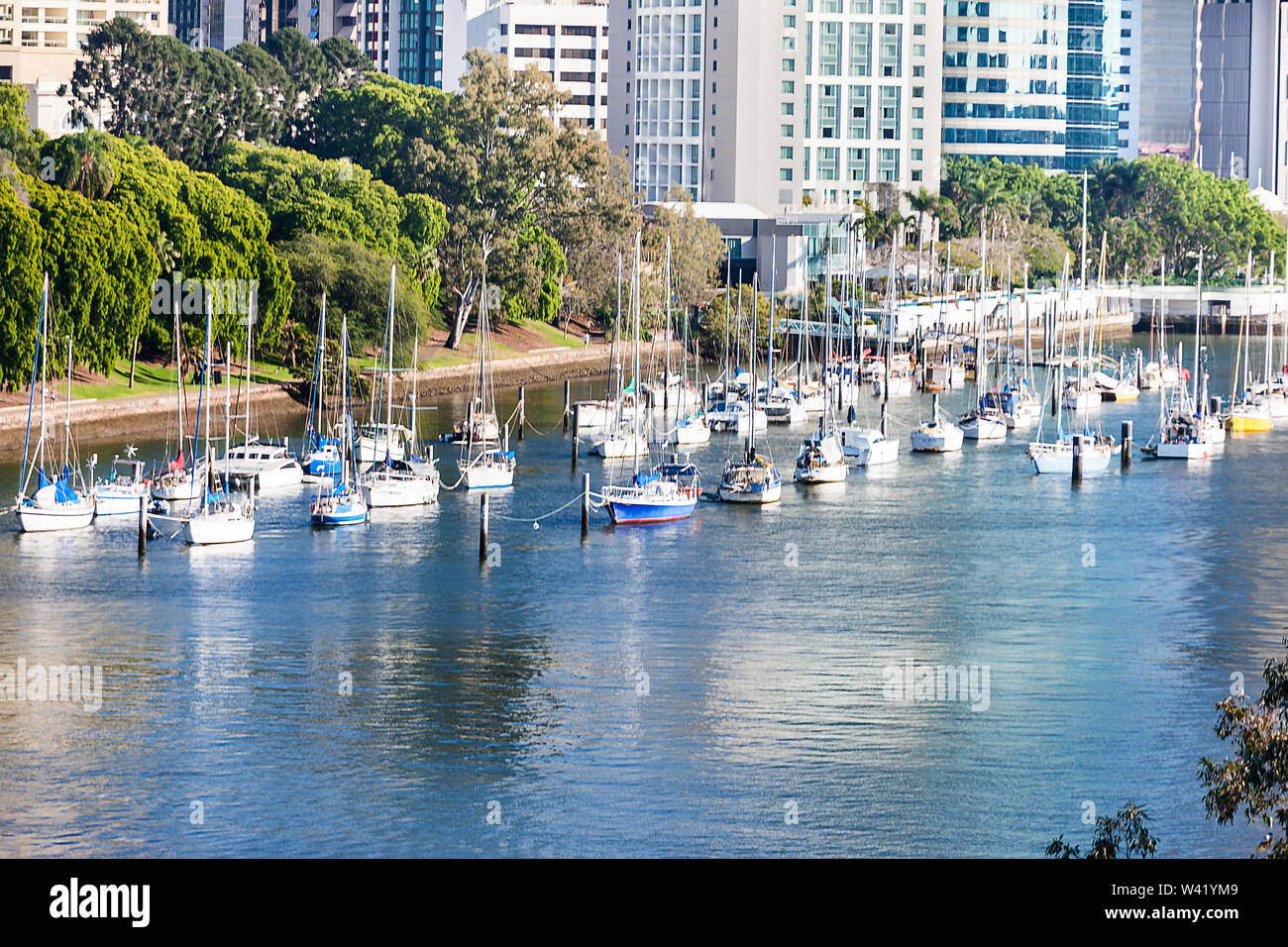 Boats on the blue water river running beside green tress and Brisbane ...
