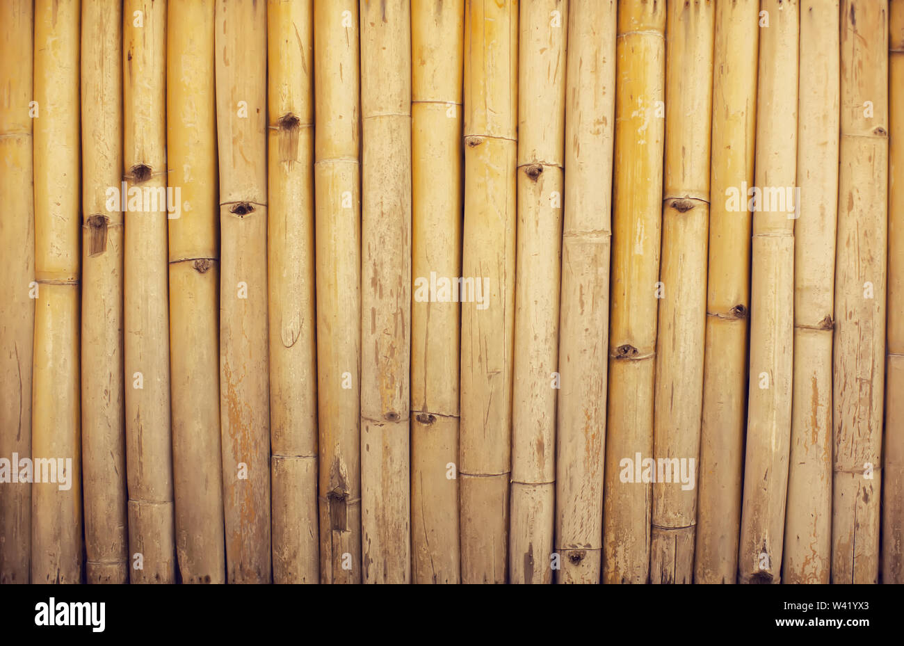 Bamboo fence or wall texture background for interior or exterior design ...