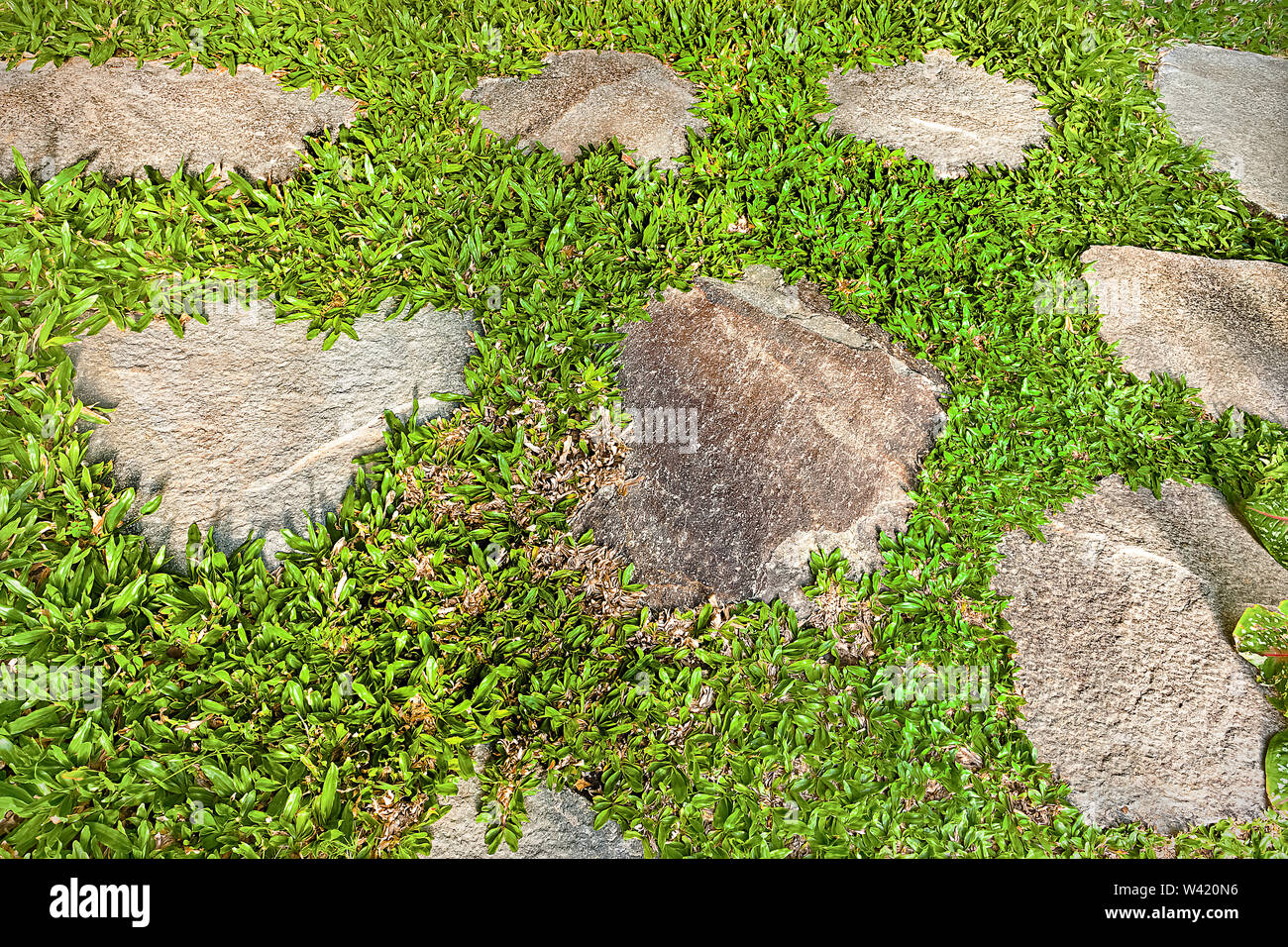 Green grass lawn closeup which attached rocks on the floor, creating a ...