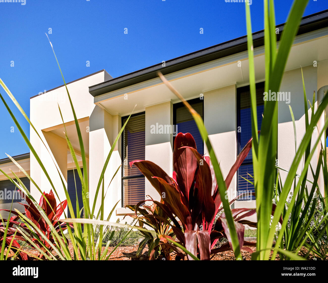 Simple house exterior with plants, and long vertical windows Stock ...