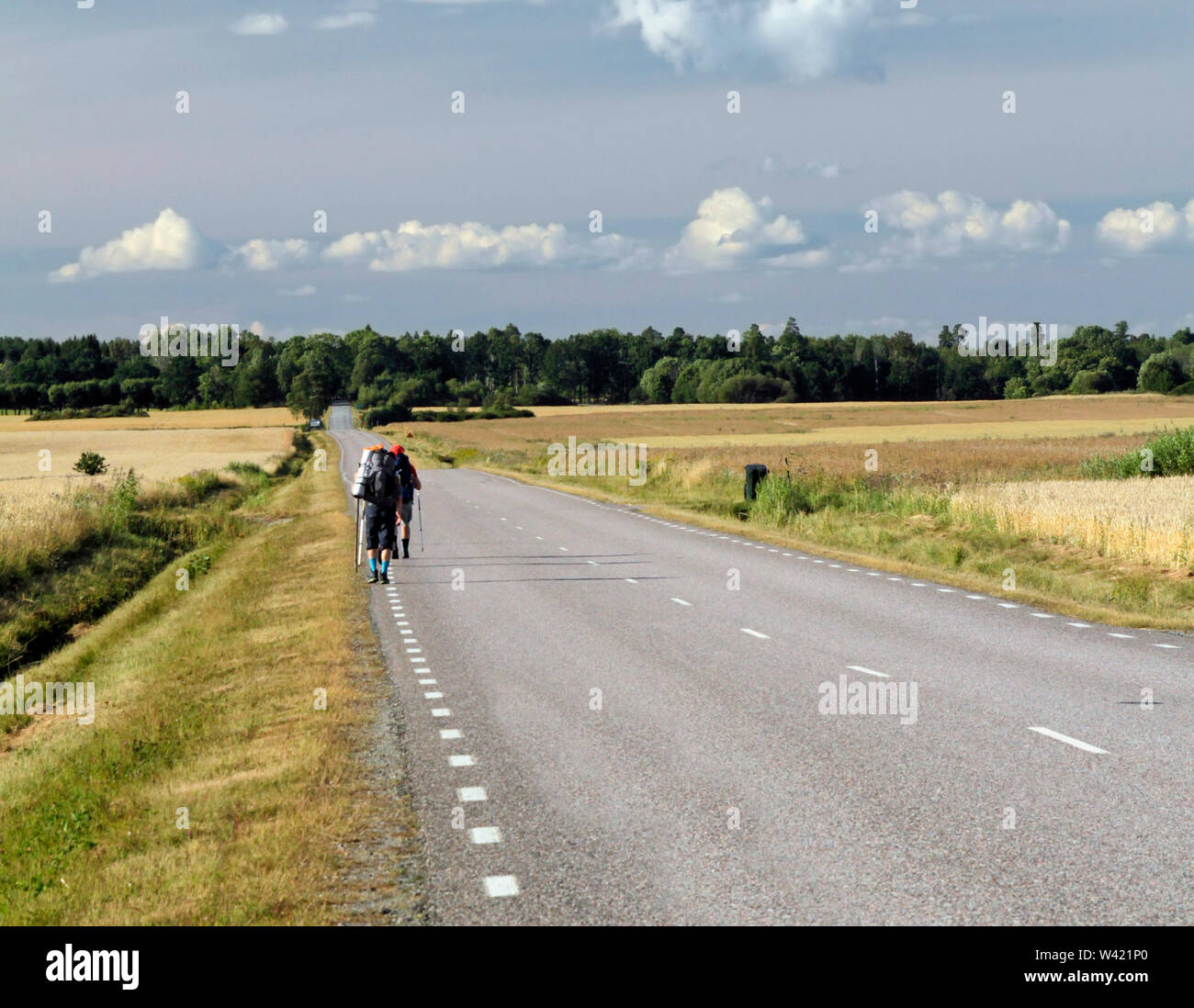 Hikers walking on a long street in Sweden Stock Photo - Alamy
