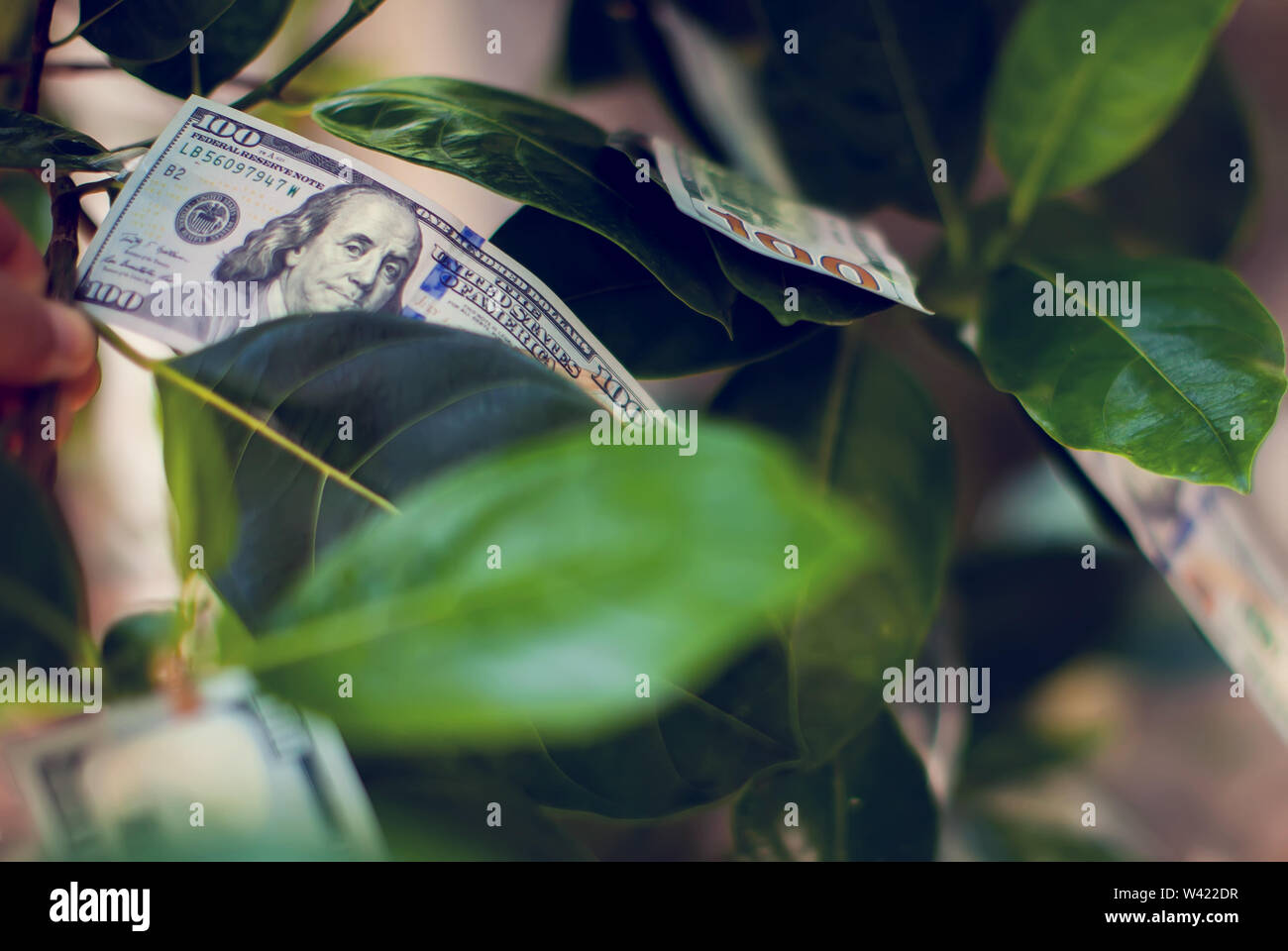 Hundred dollar bills fall on hi-res stock photography and images - Alamy