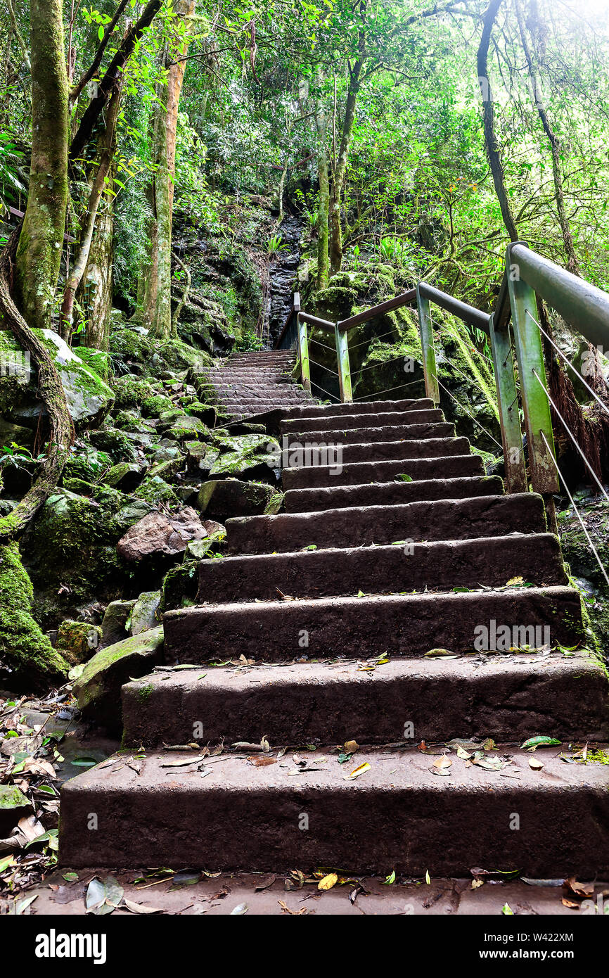 Stone stairs with leaves on it along up to the mountain through the ...