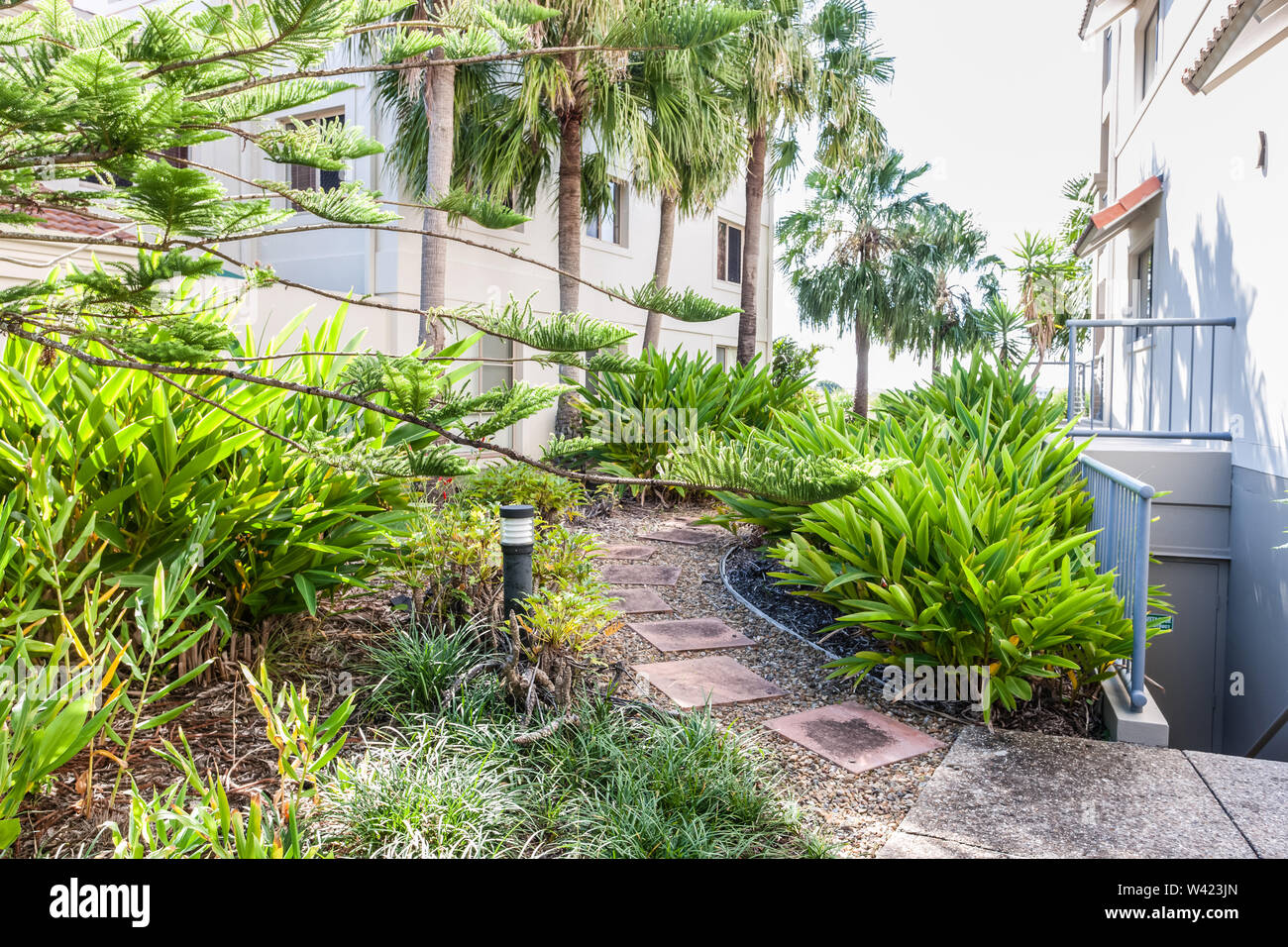 A backyard garden passage featuring lush green plants and large tiles ...