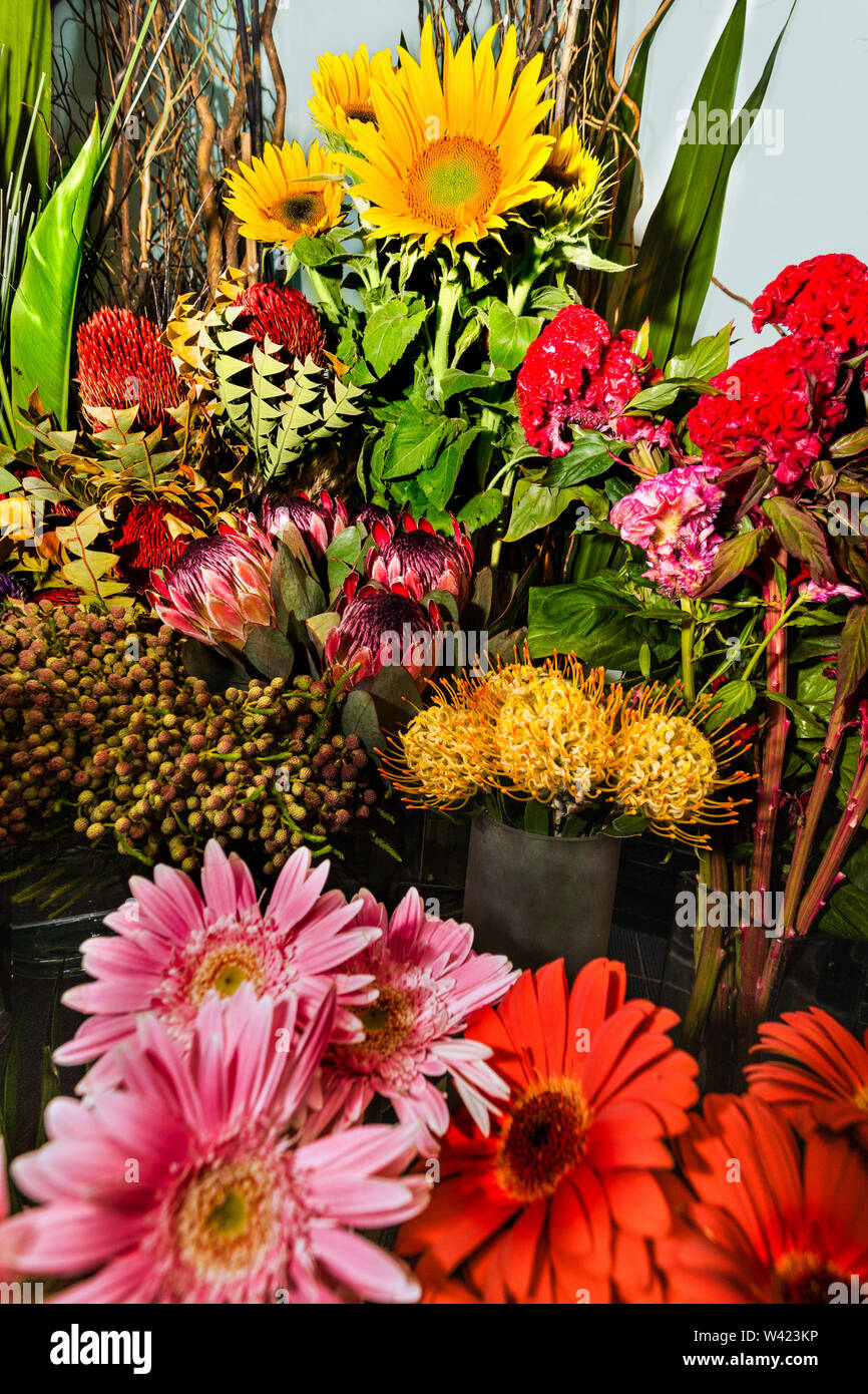 Exotic flower bouquet and bunch in a modern gift shop with various and ...
