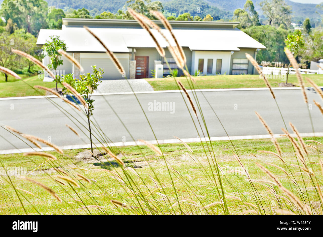 Road infront of ground with lawns and forest, place is very cleaned and ...